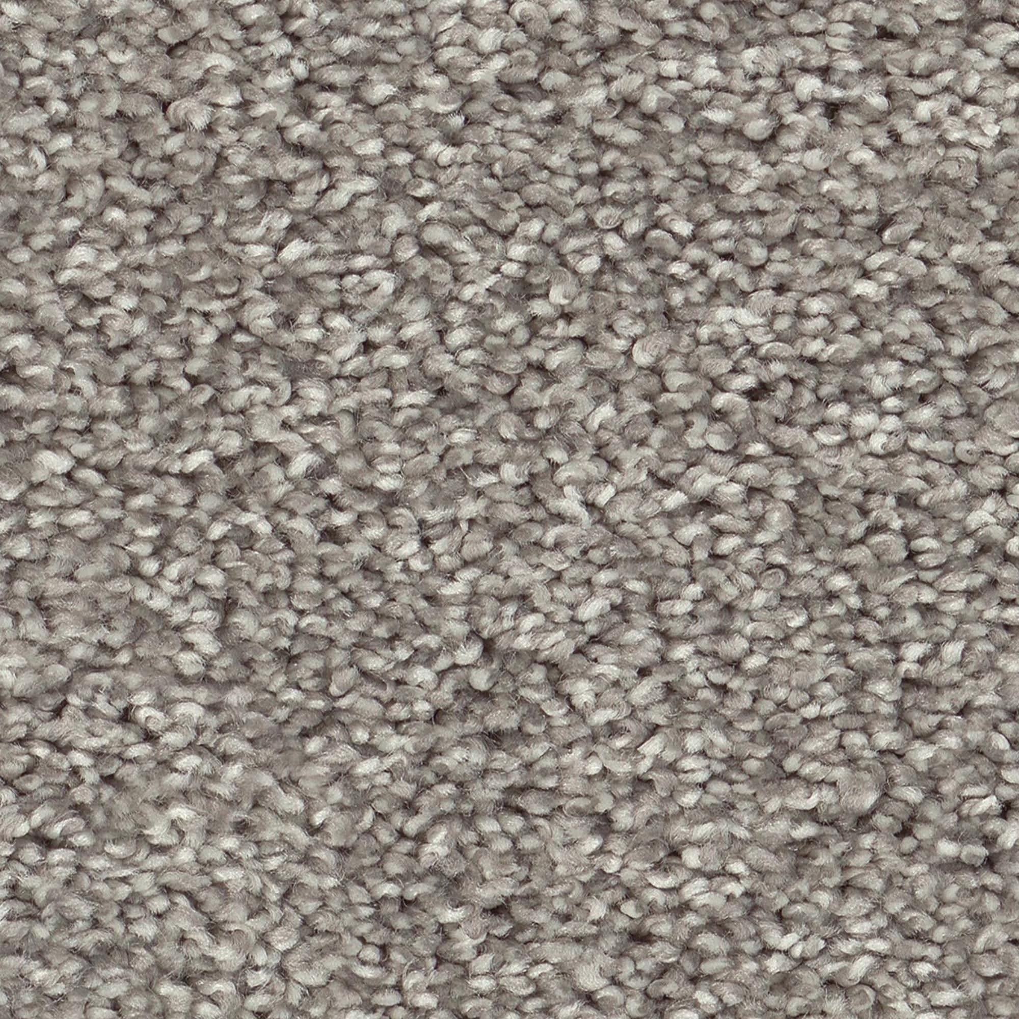 Shaw Affirmation I Carpet in Lunar Surface