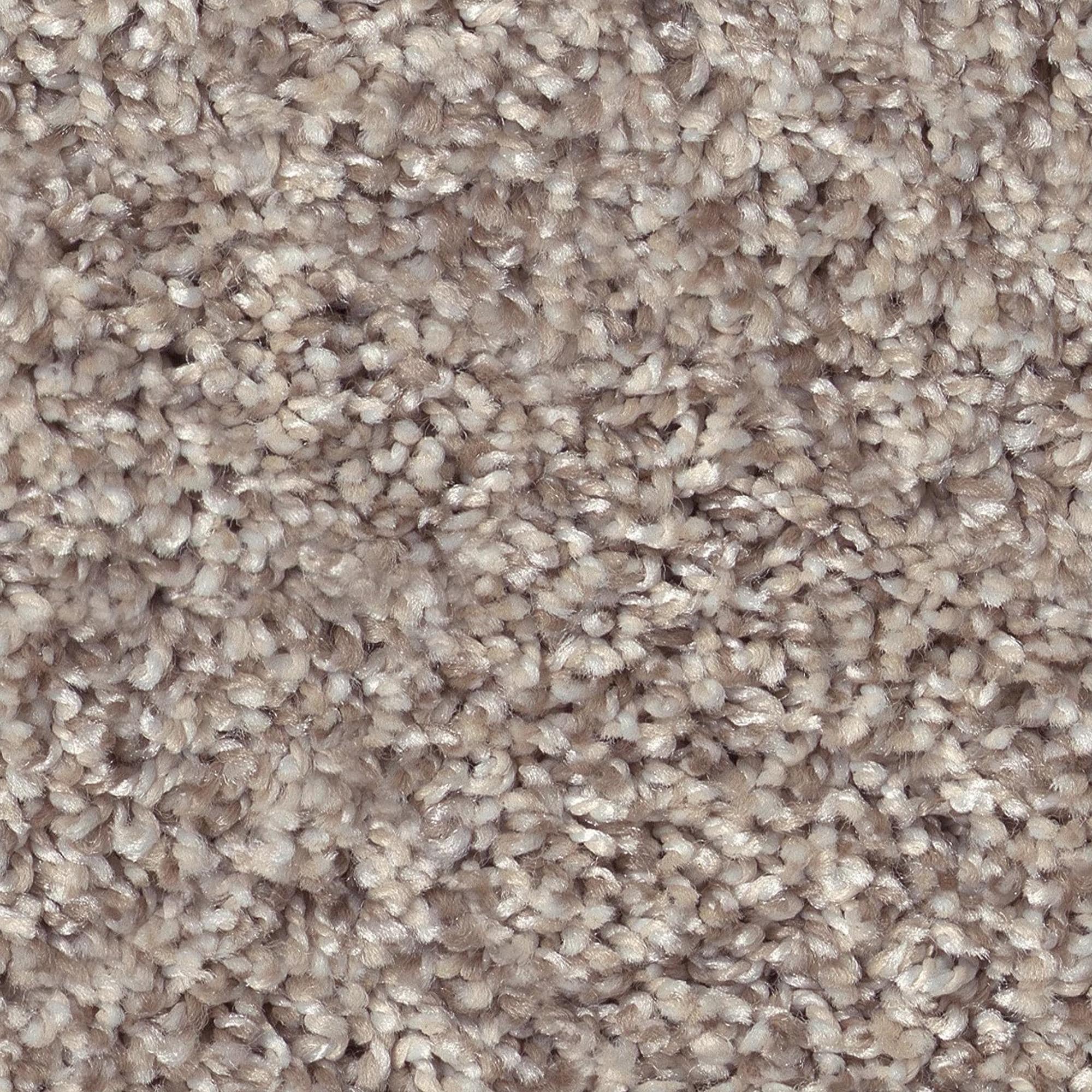 Shaw Inlet Shore I Carpet in Pale Ecru