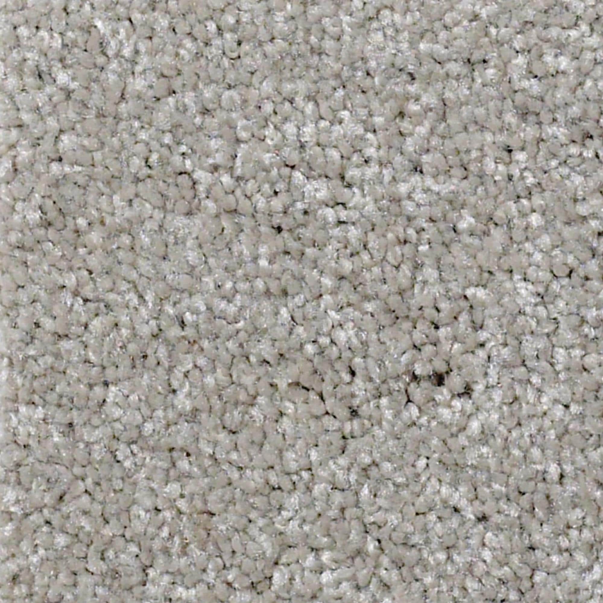 Shaw Something Sweet Carpet in Smooth Taupe