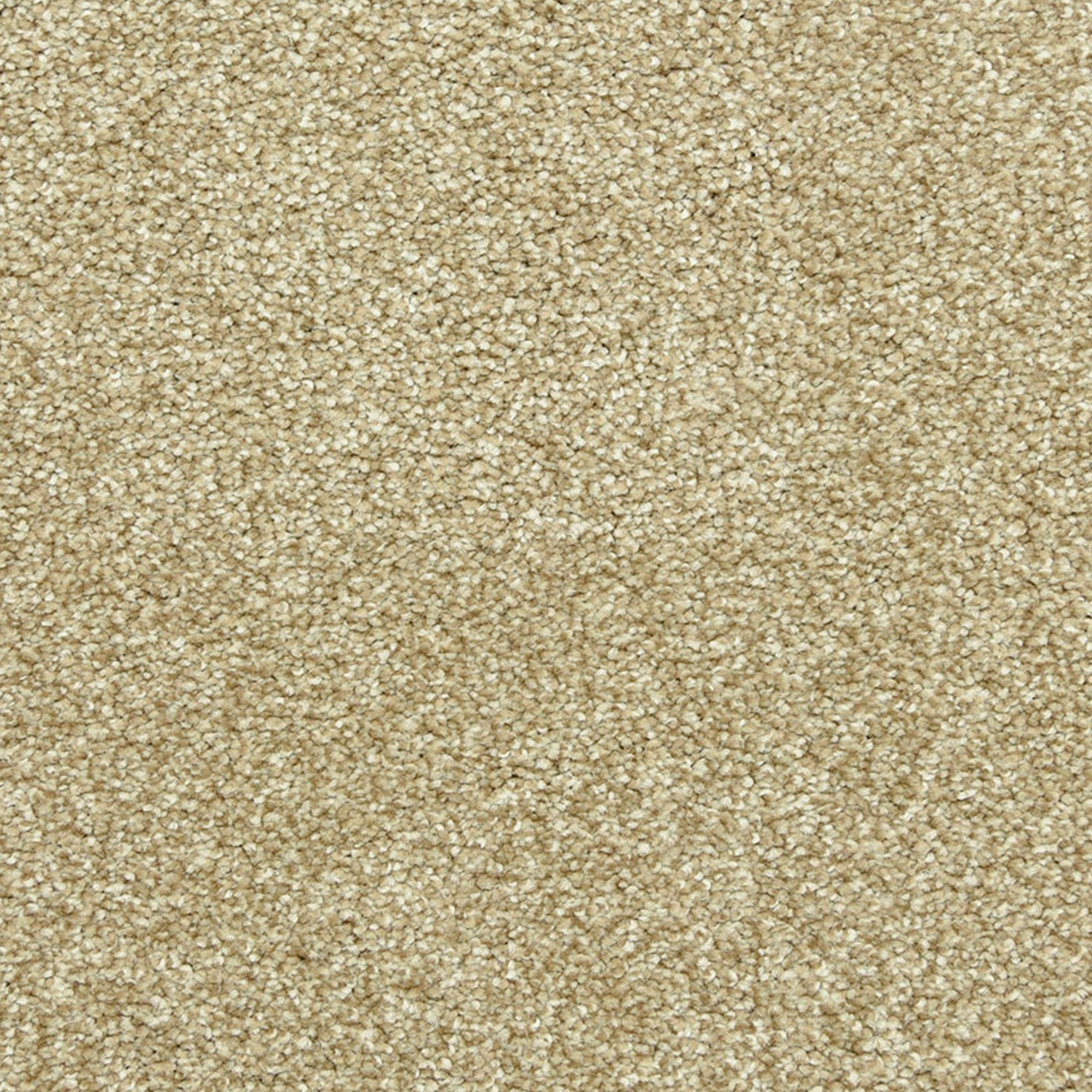 Dixie Home Simplicity Carpet in Cameo