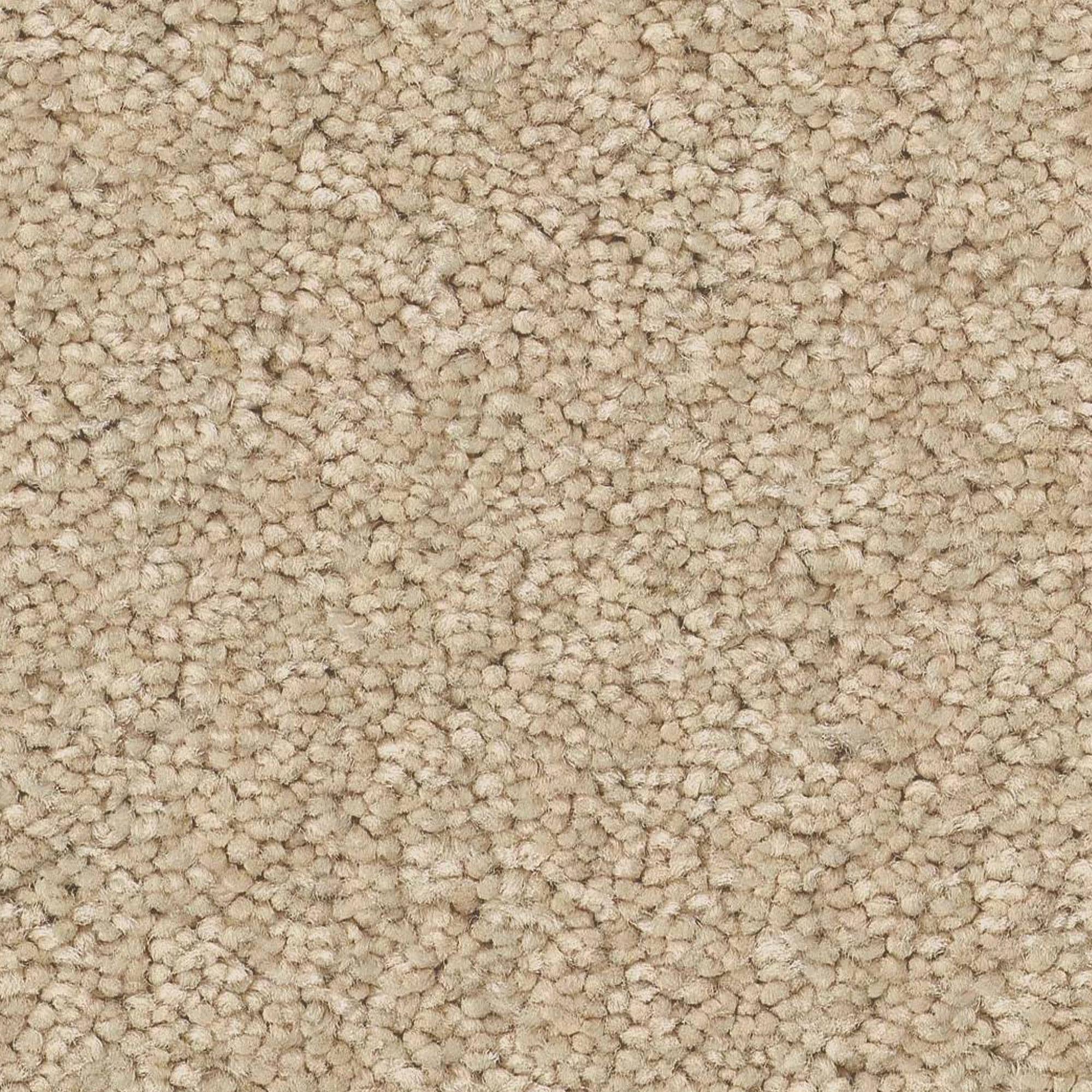 Anderson Tuftex Enduring Charm Carpet in Papyrus