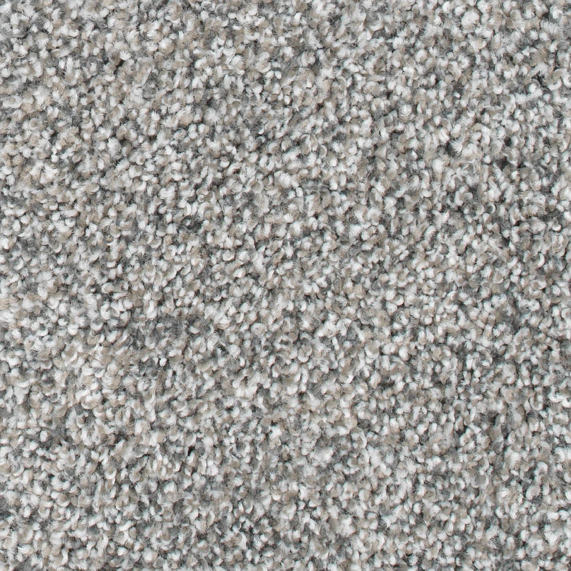 Karastan Fascinating Allure Carpet in Flannel