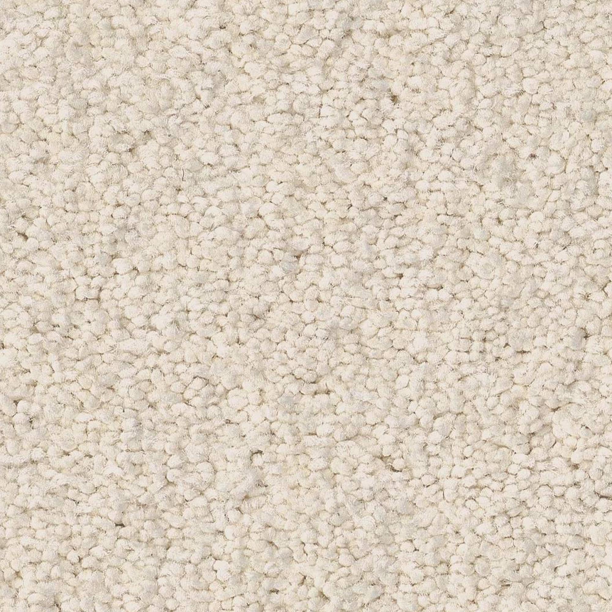 Anderson Tuftex Enduring Charm Carpet in Cloud