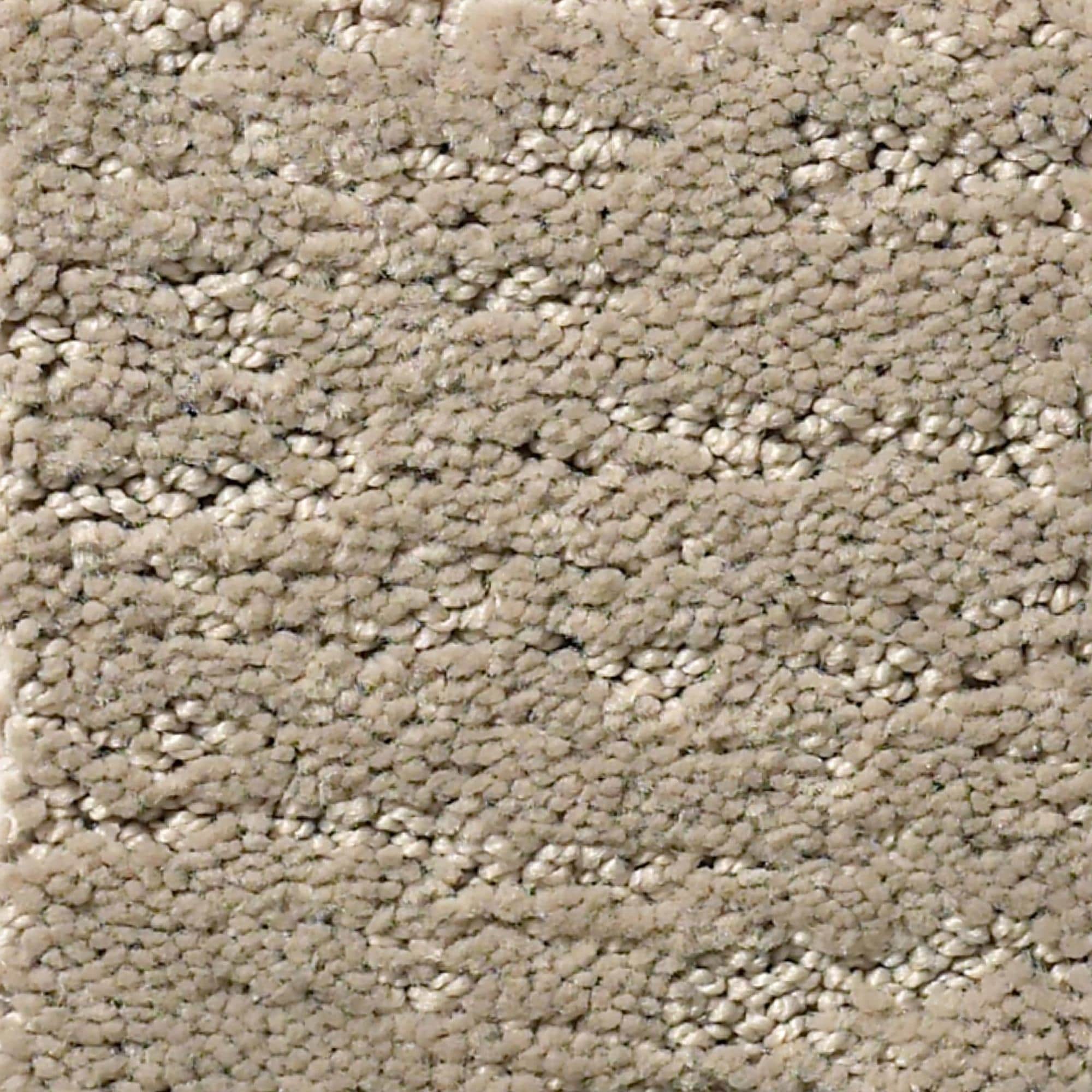 Anderson Tuftex Contour Carpet in Reflection