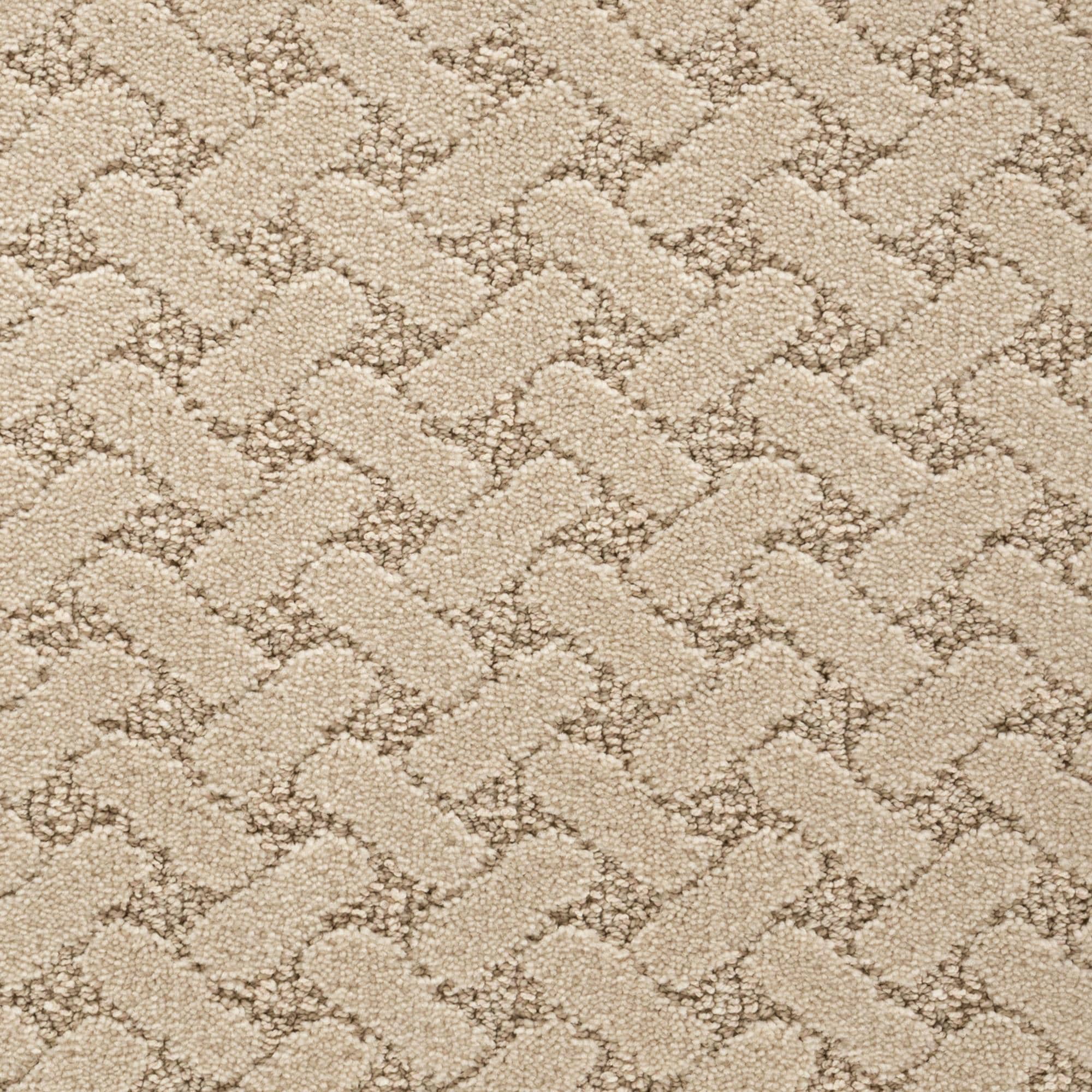 Mohawk Refreshing Palette Carpet in Luxury