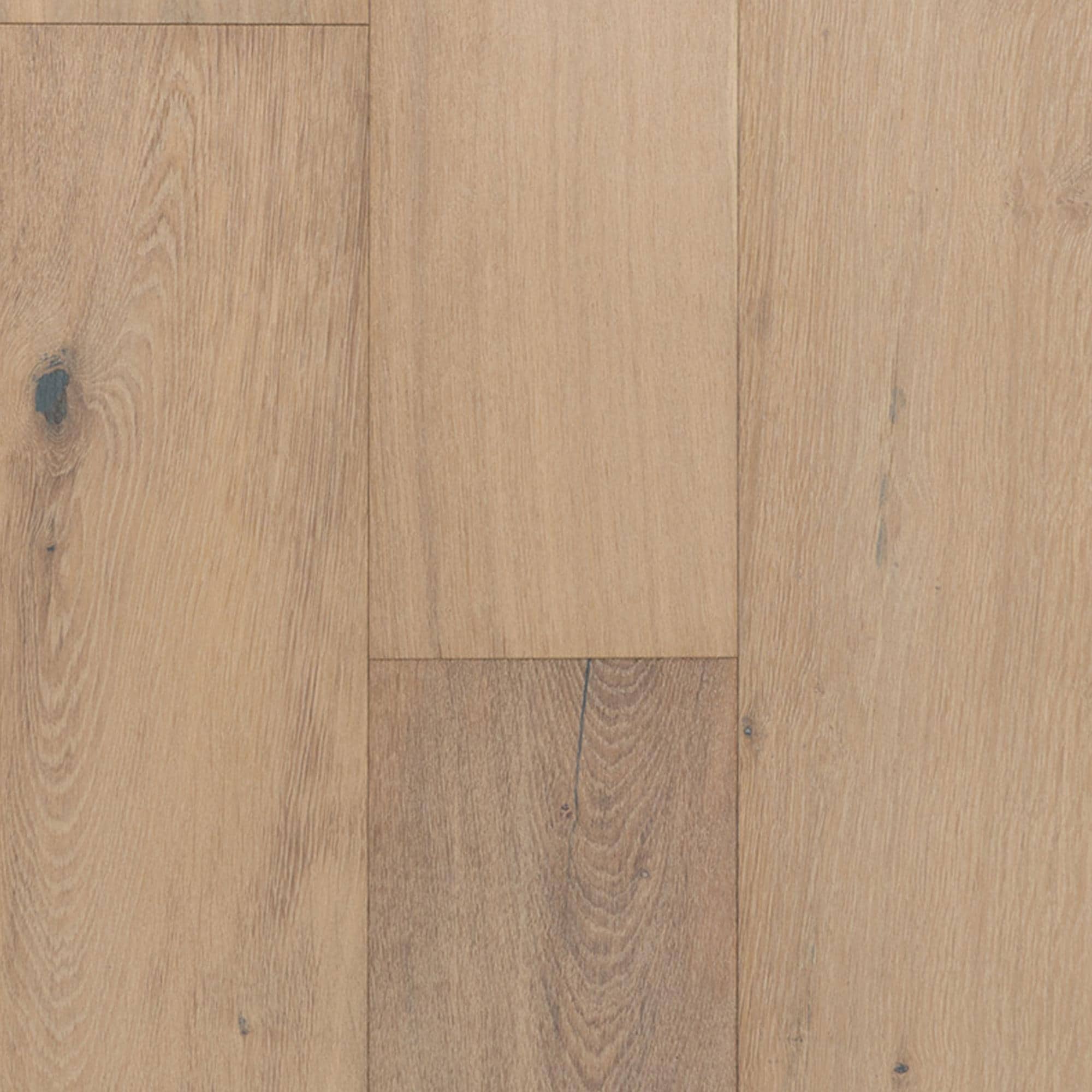 Provenza Wood Affinity Oak Hardwood in Contour | NFM