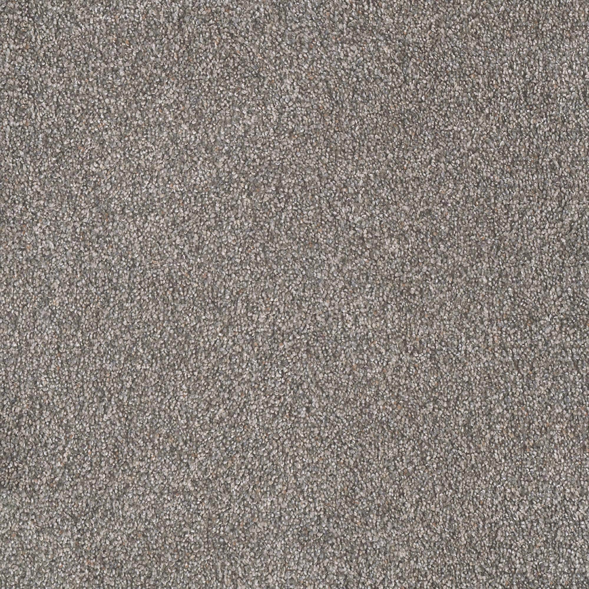 Dream Weaver Rustic Retreat II Carpet in Laurel