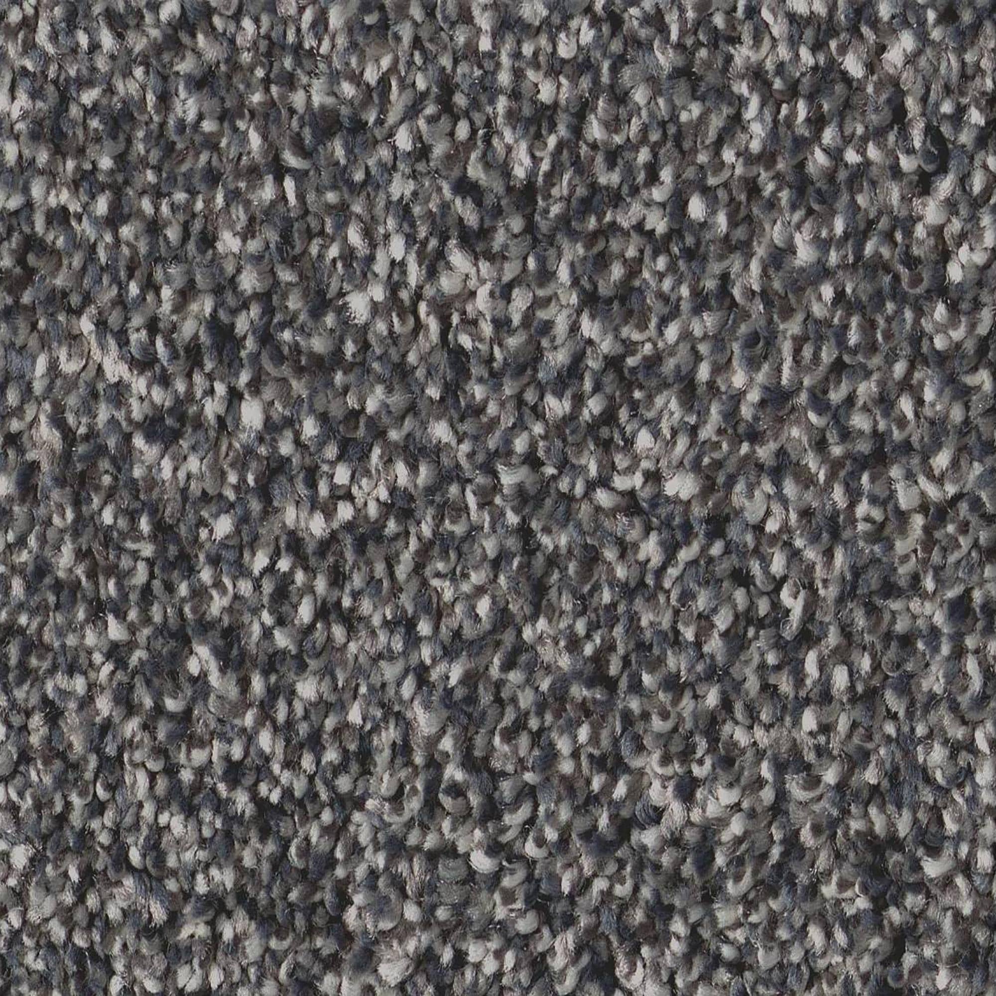 Shaw Artistic Fusion II Carpet in Refined