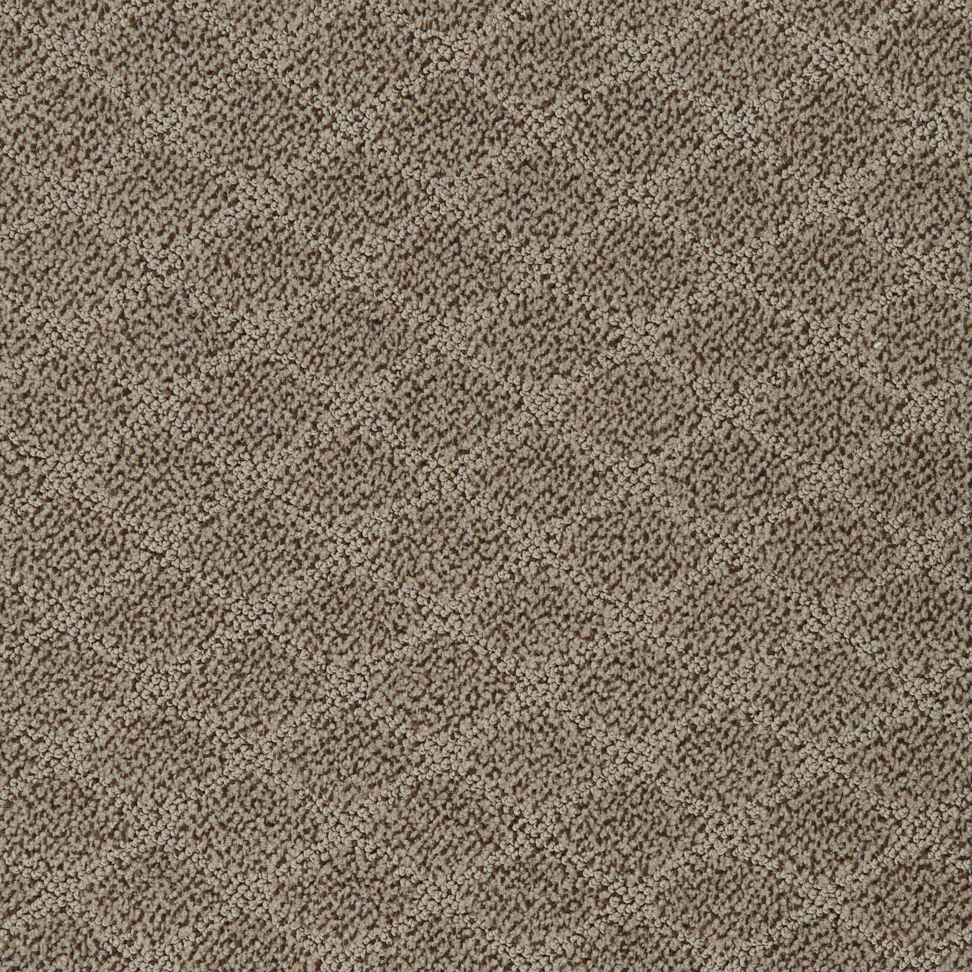 Dixie Home Culture Carpet in Museum