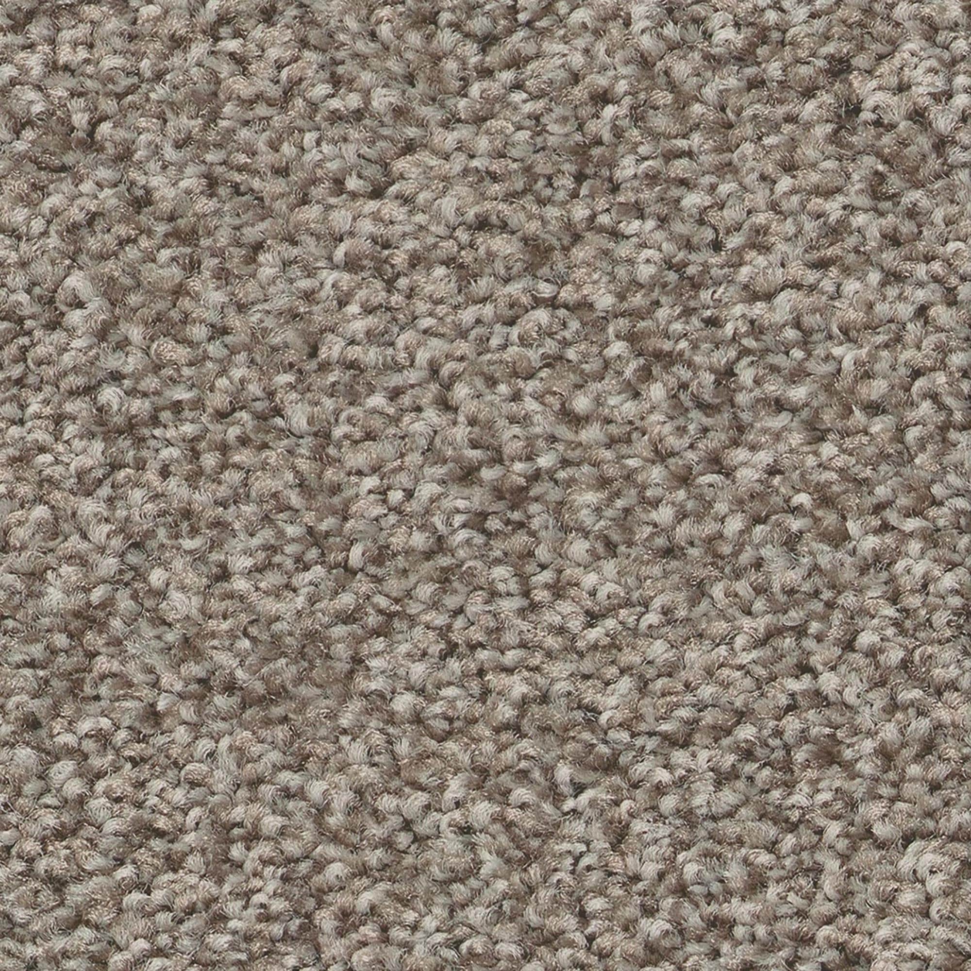 Shaw Del Rio I Carpet in Driftwood