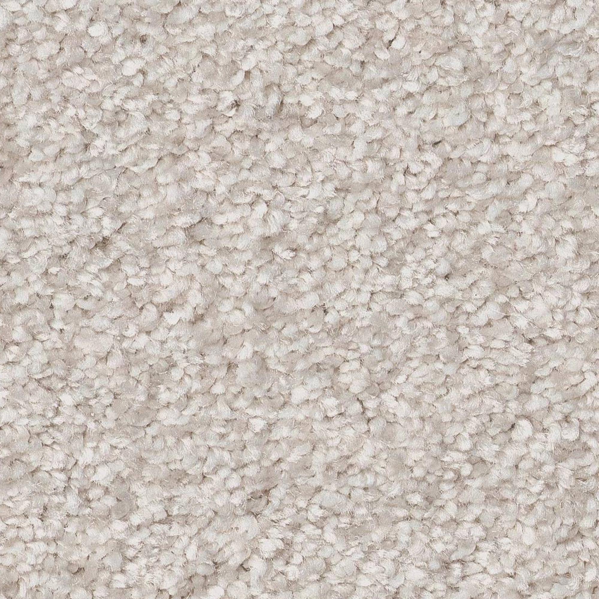 Shaw You Got This III Carpet in Snowfall