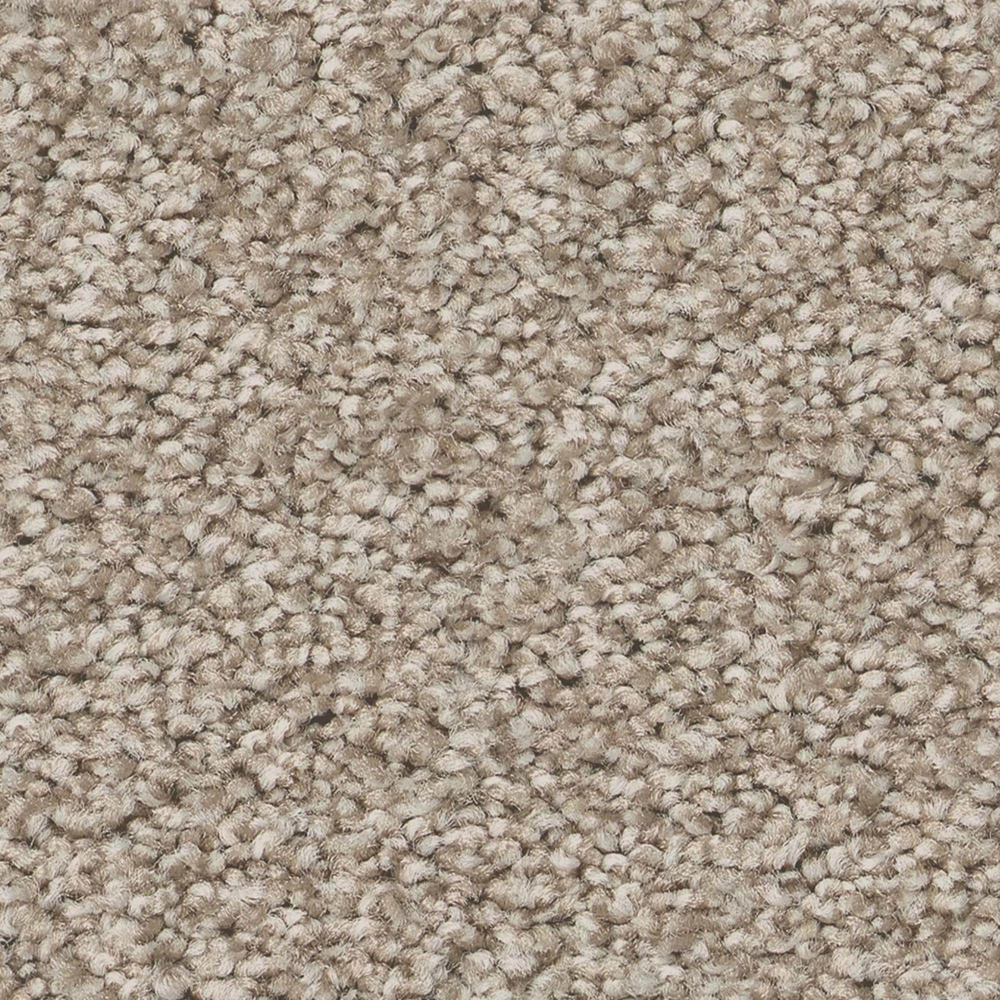 Shaw Del Rio I Carpet in Fossil Path