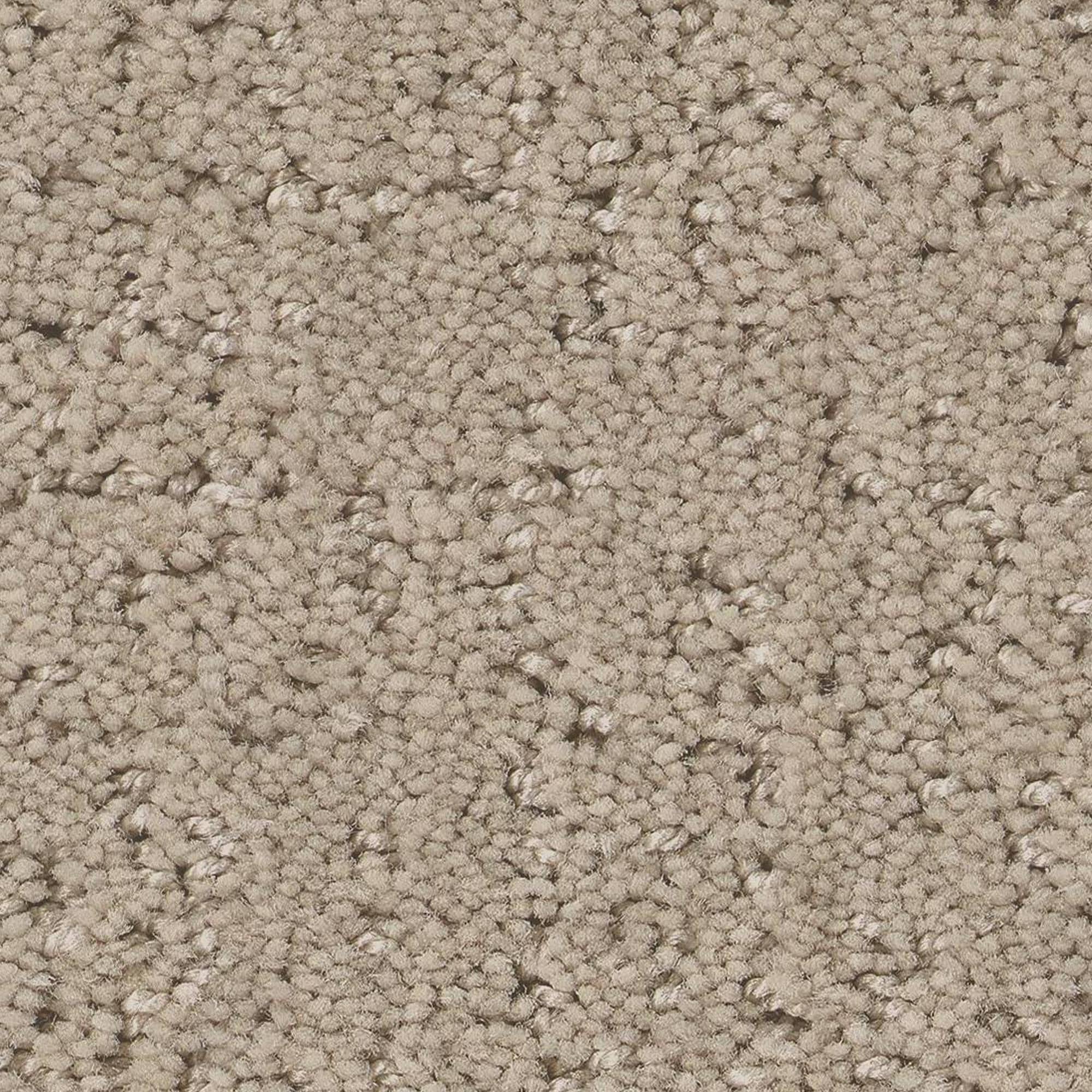 Shaw Canvas Comfort Blue Carpet in My Haven | NFM