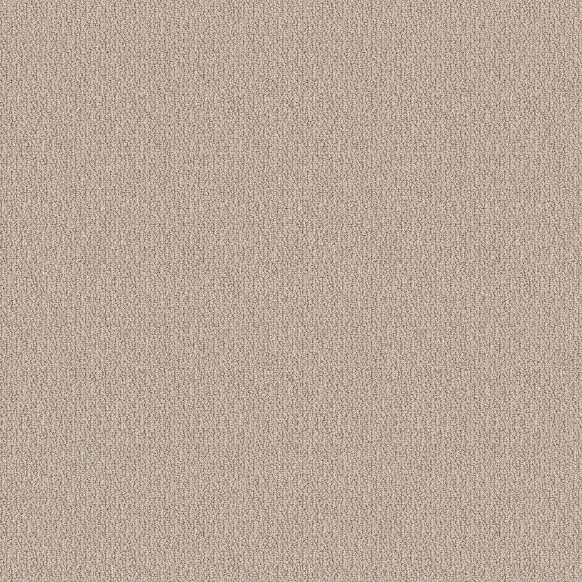 Shaw Loop De Loop Carpet in Natural Wood