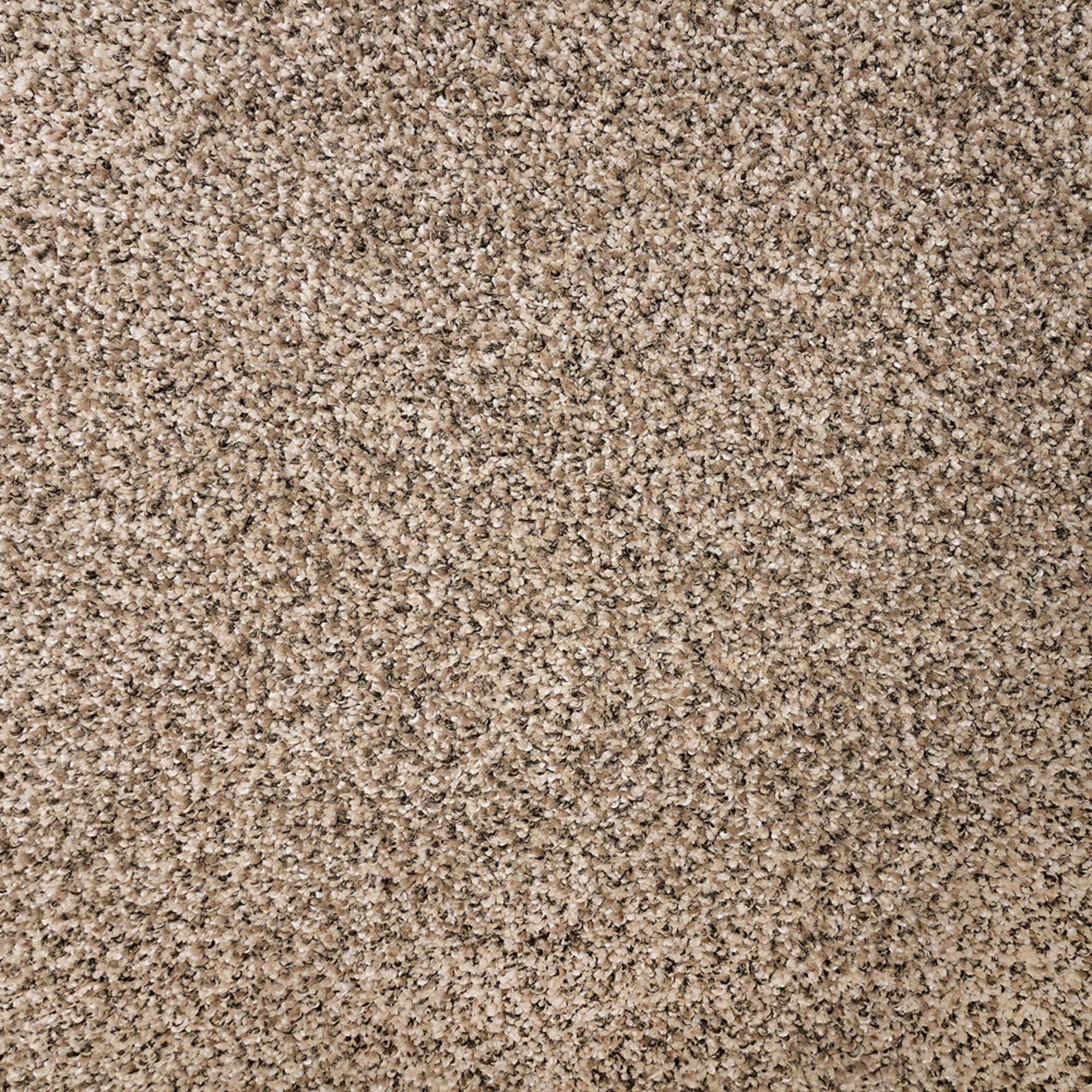 Mohawk Natural Selection II Carpet in Pebble Path