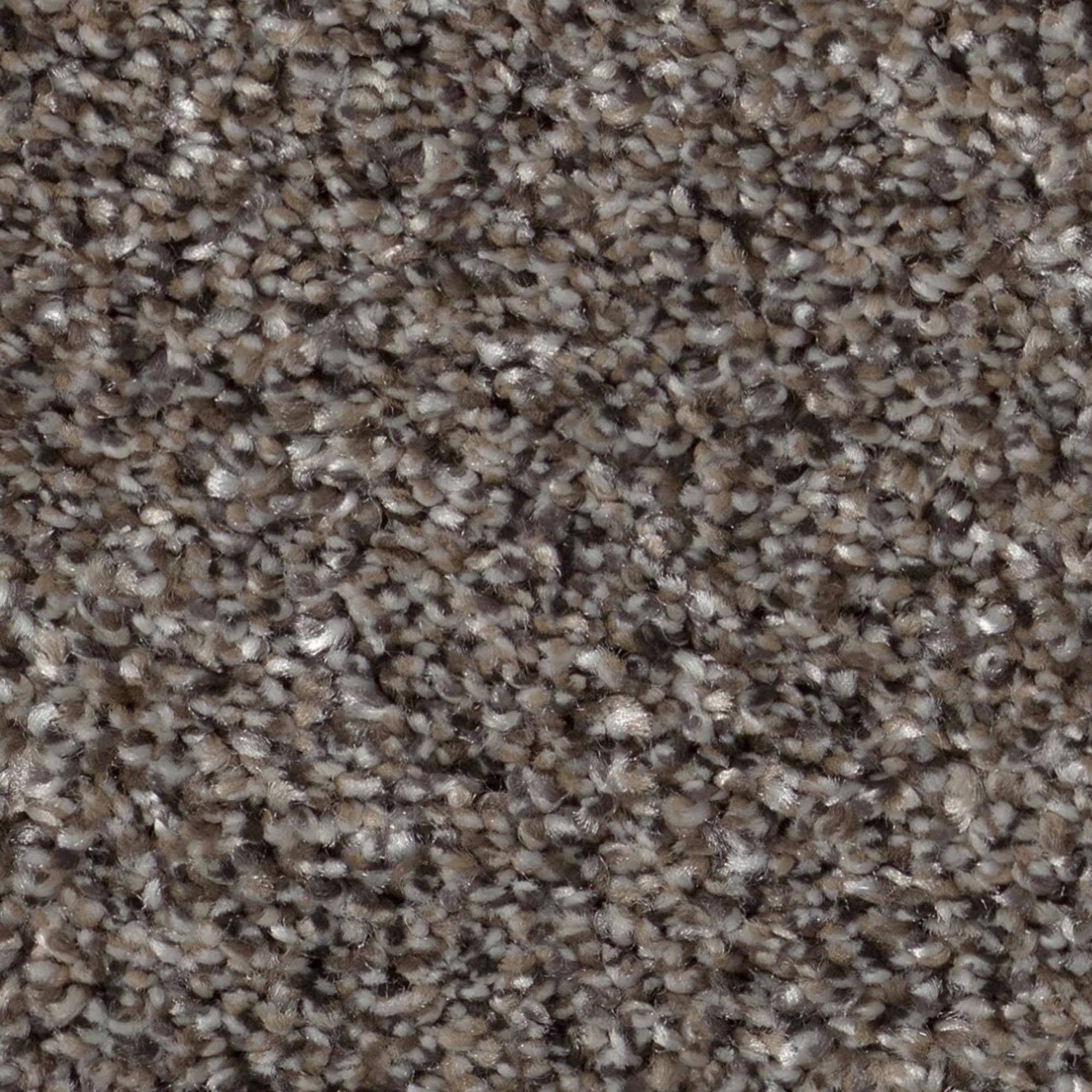Shaw Higher Ground III Carpet in Flint
