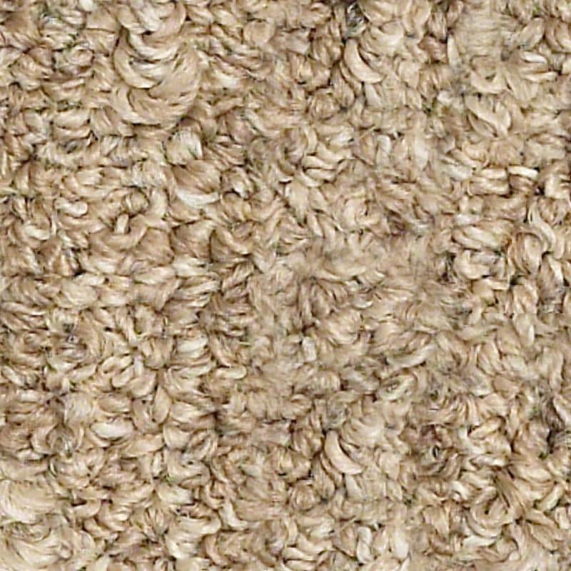 Shaw Natural Balance Carpet in Driftwood | Shop NFM