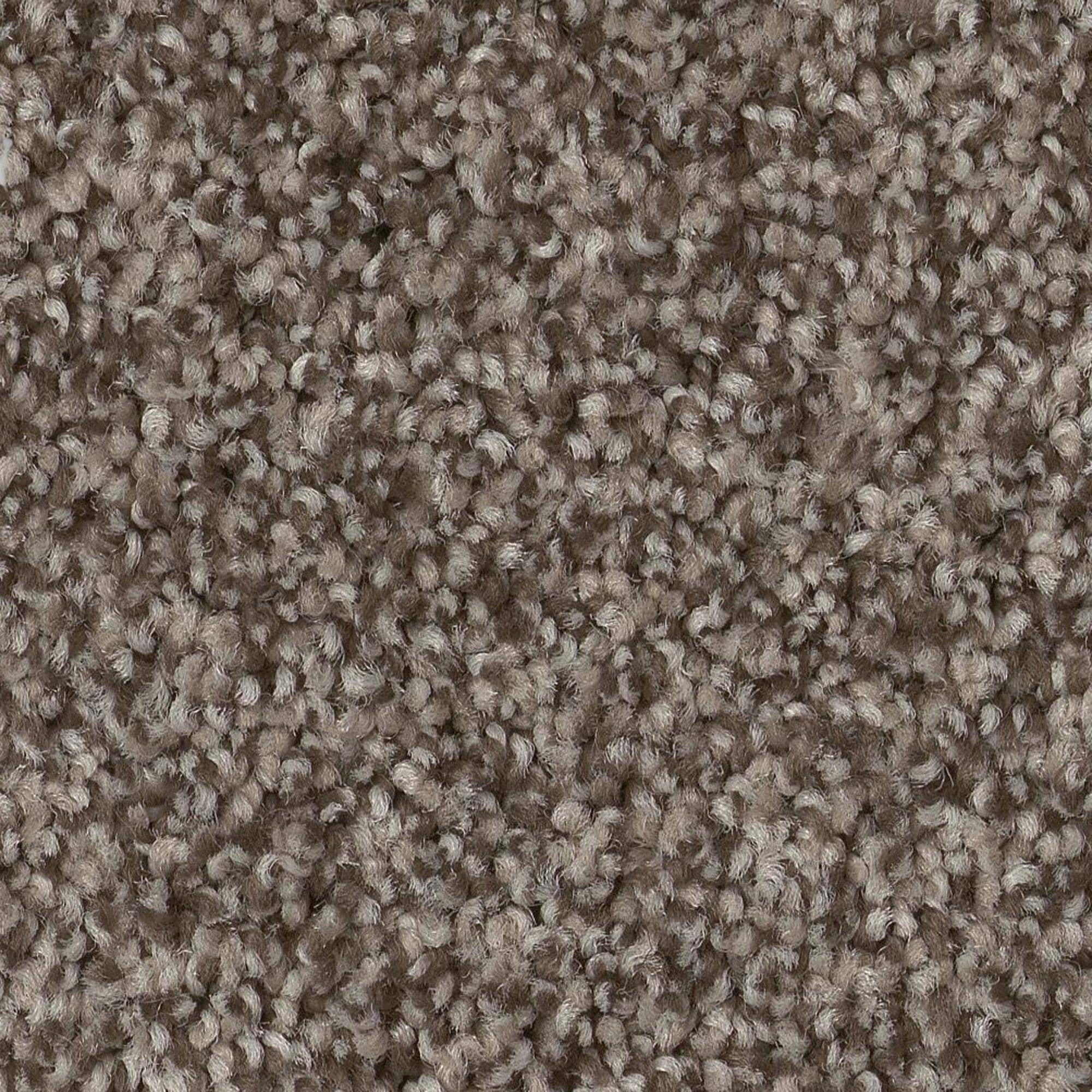 Anderson Tuftex Bossa Nova Carpet in Arrowhead