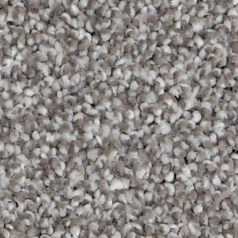 Shaw Always Ready II Carpet in Washed Gray | NFM