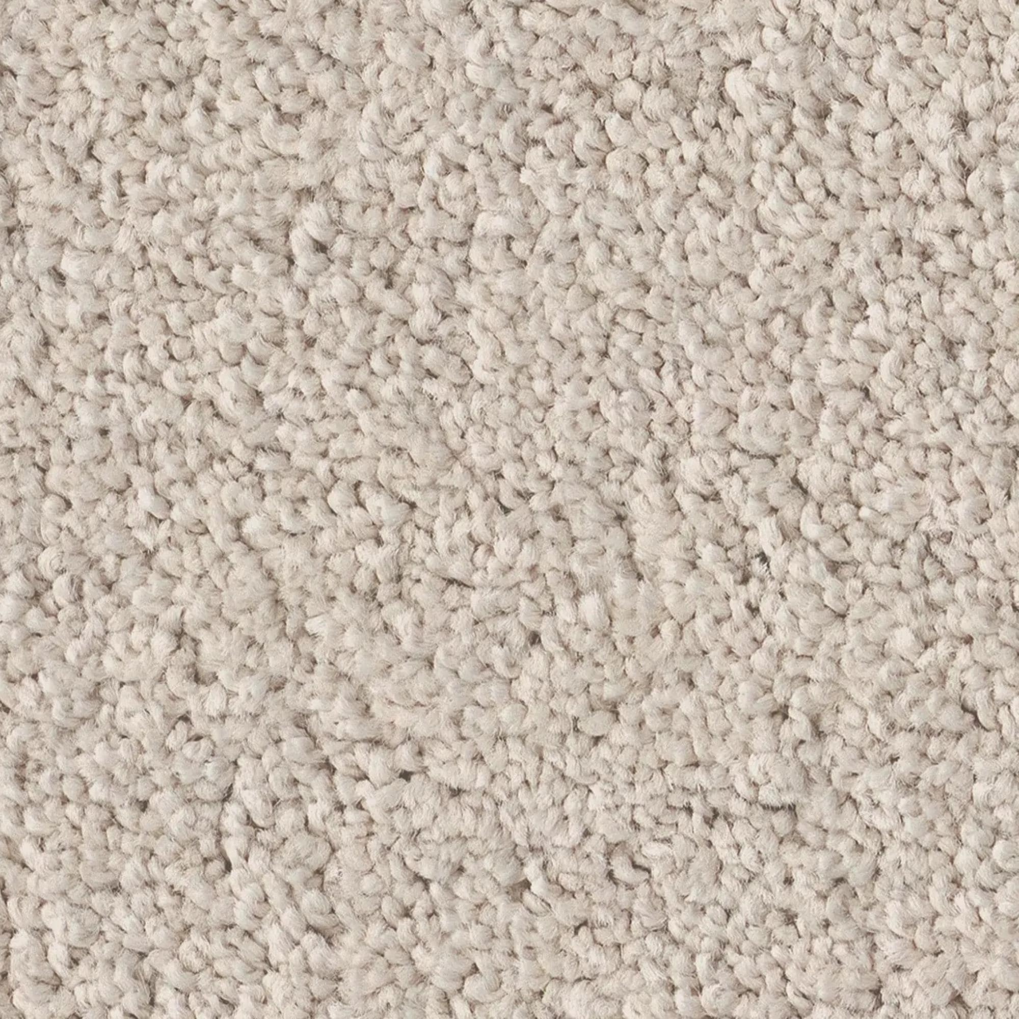 Philadelphia Champagne Taste II Carpet in Soft Sense