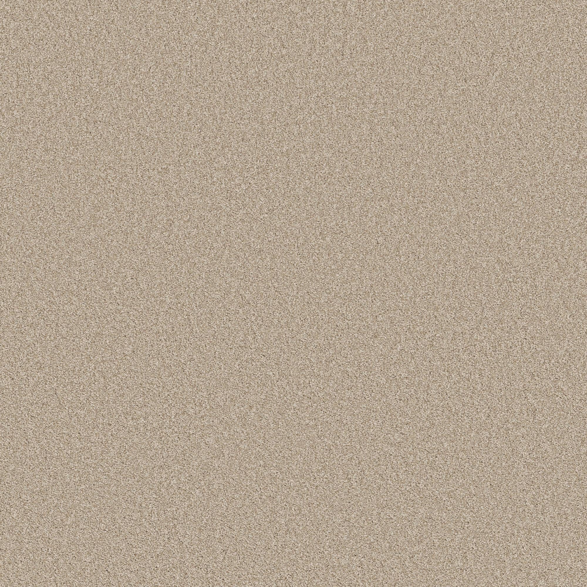 Shaw Del Rio II Carpet in Sandstone