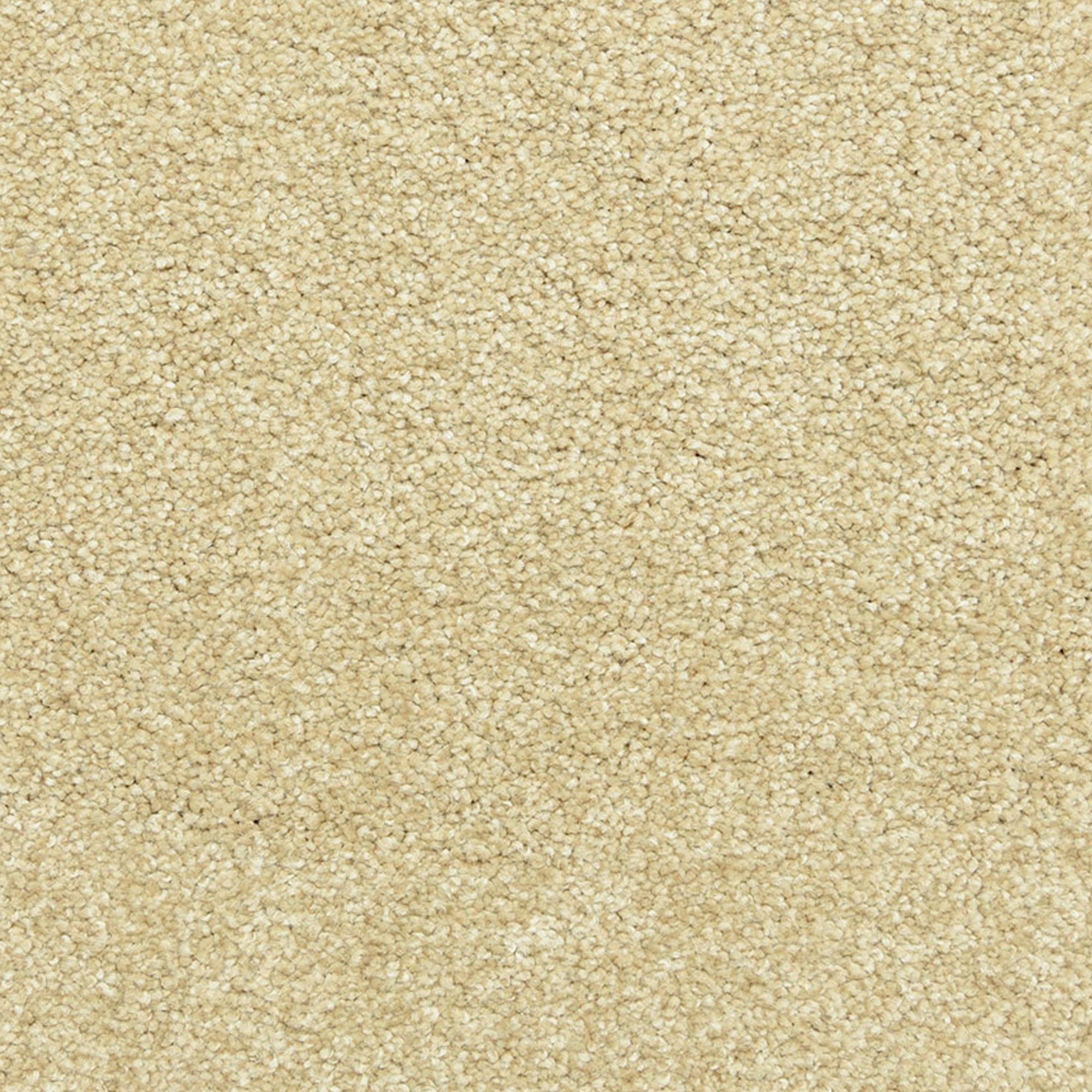 Dixie Home Simplicity Carpet in Camelite
