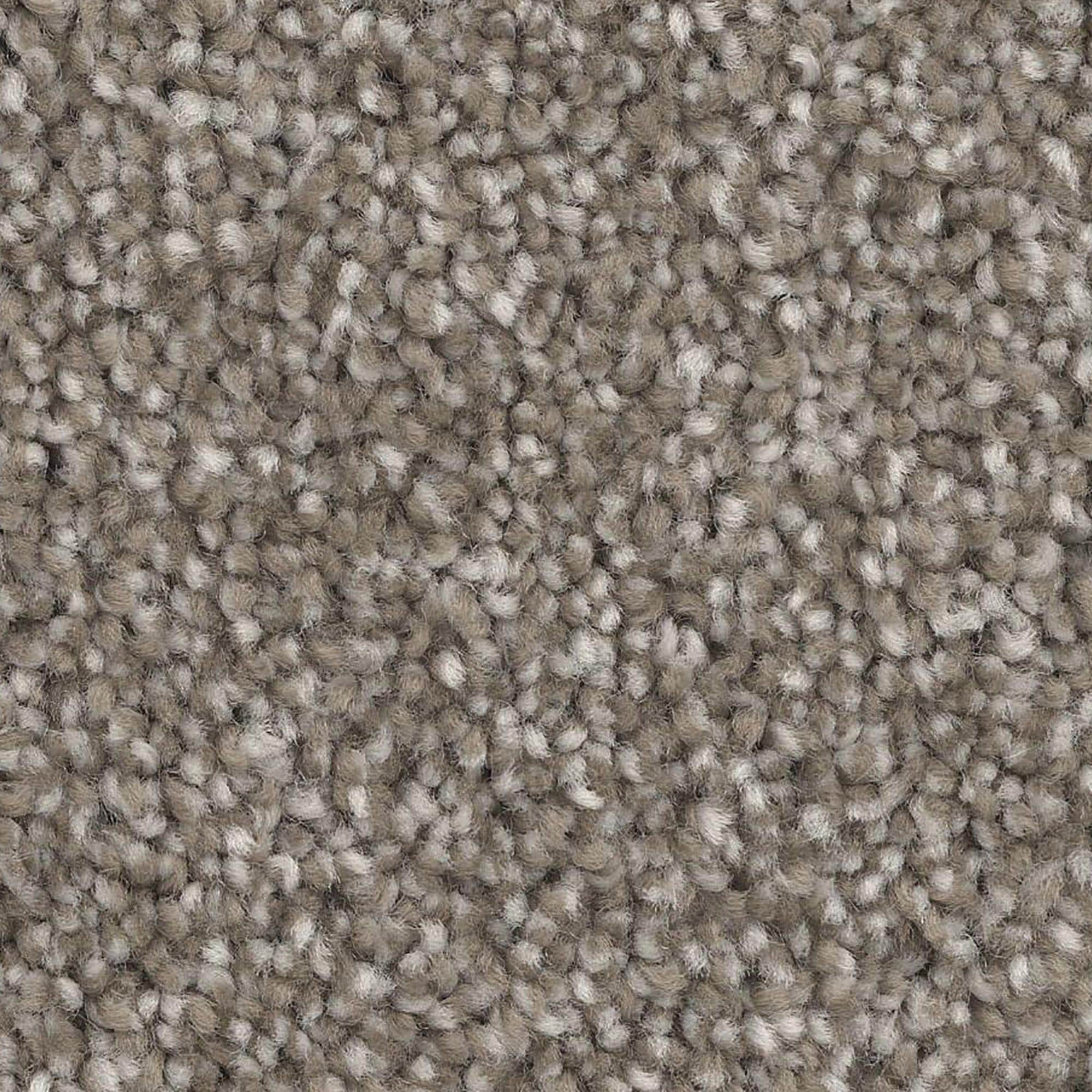 Dixie Home Dx835 Carpet in Fawn