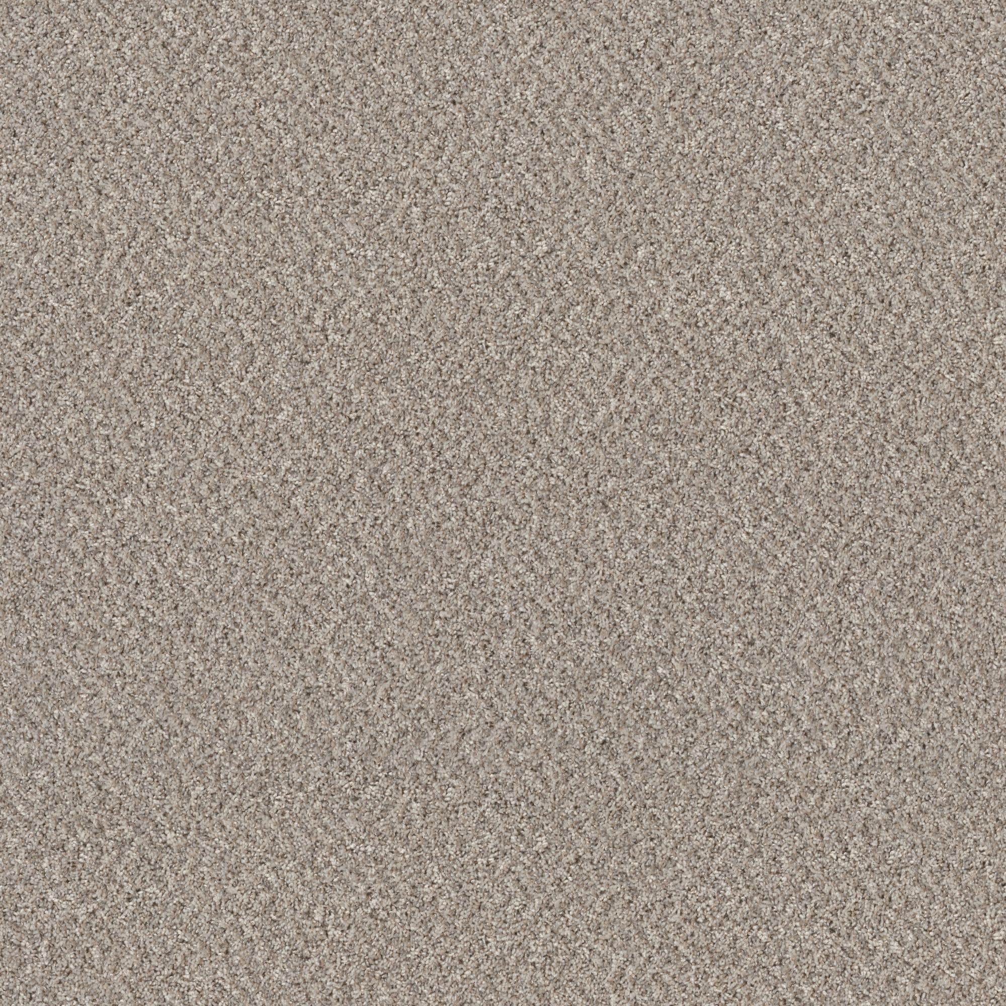 Shaw Mixed Essentials Carpet in Sandstone
