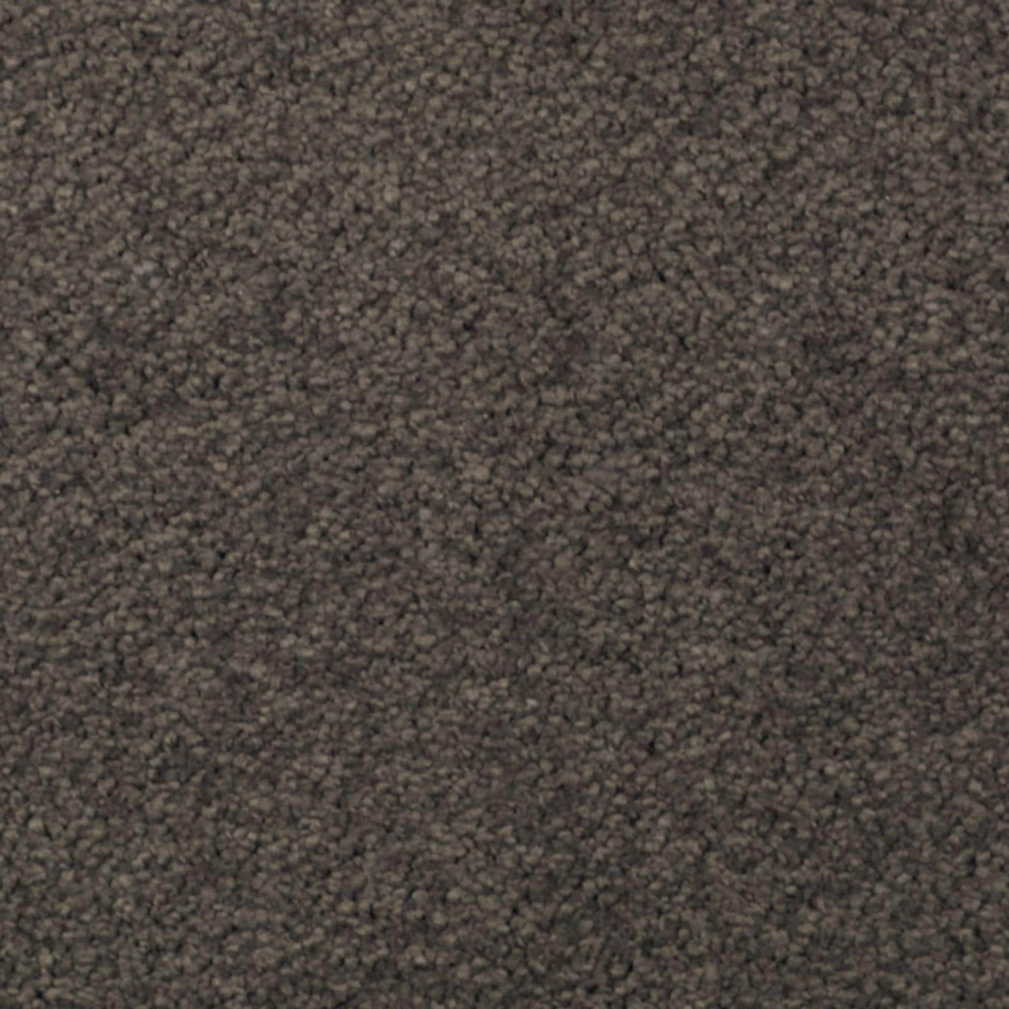 Mohawk Windsor Gardens I Carpet in Wrought Iron