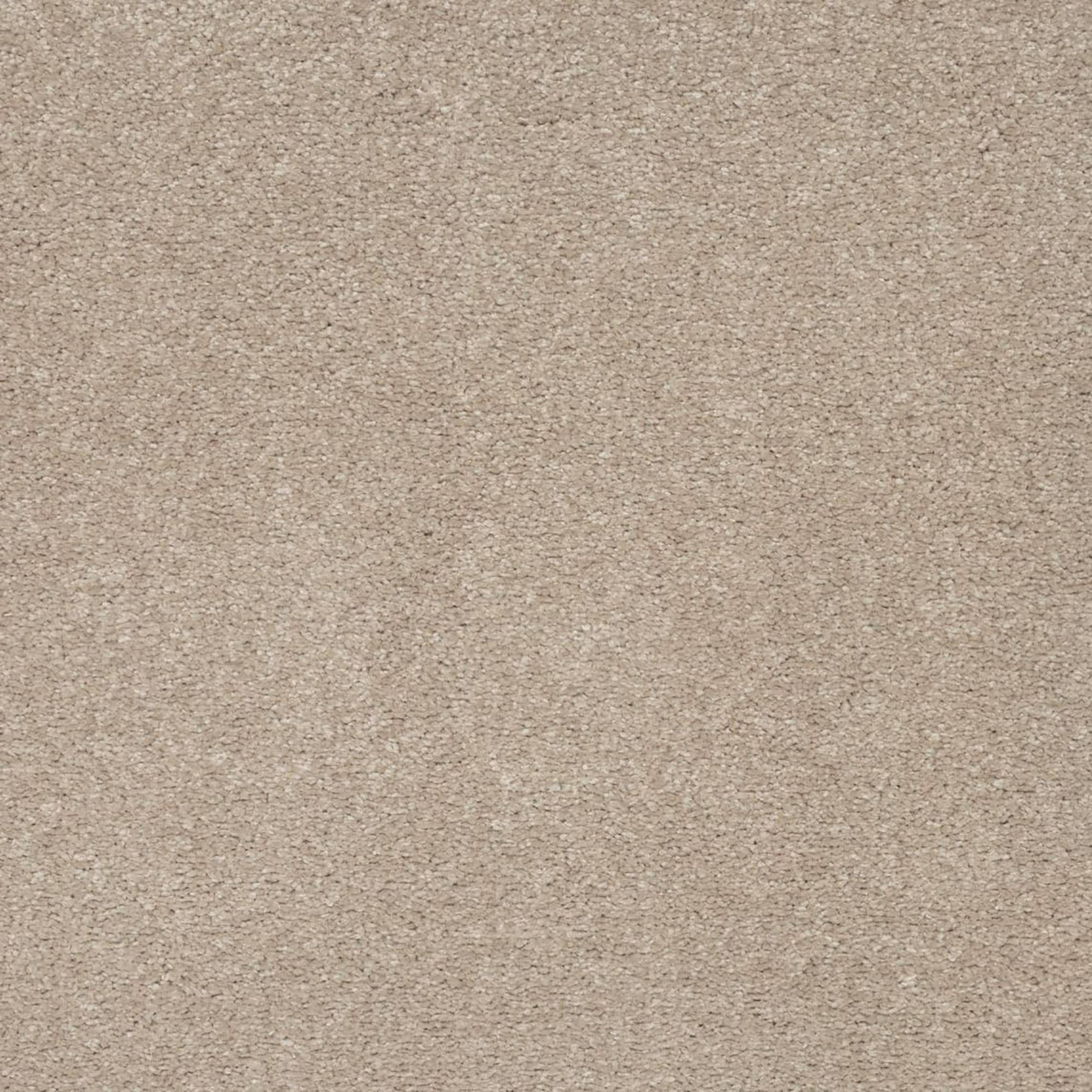 Karastan Sensational Allure Carpet in Sandy Cove