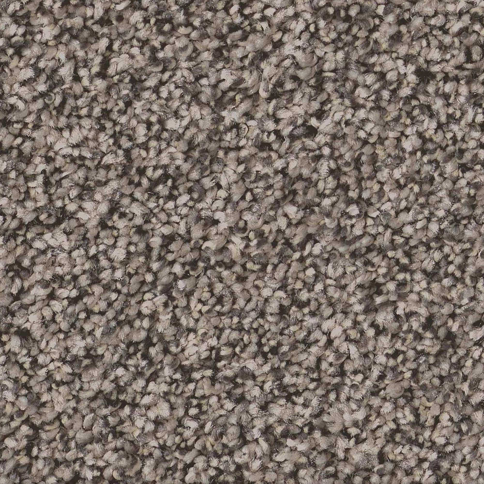 Shaw Artistic Fusion II Carpet in Warm Light