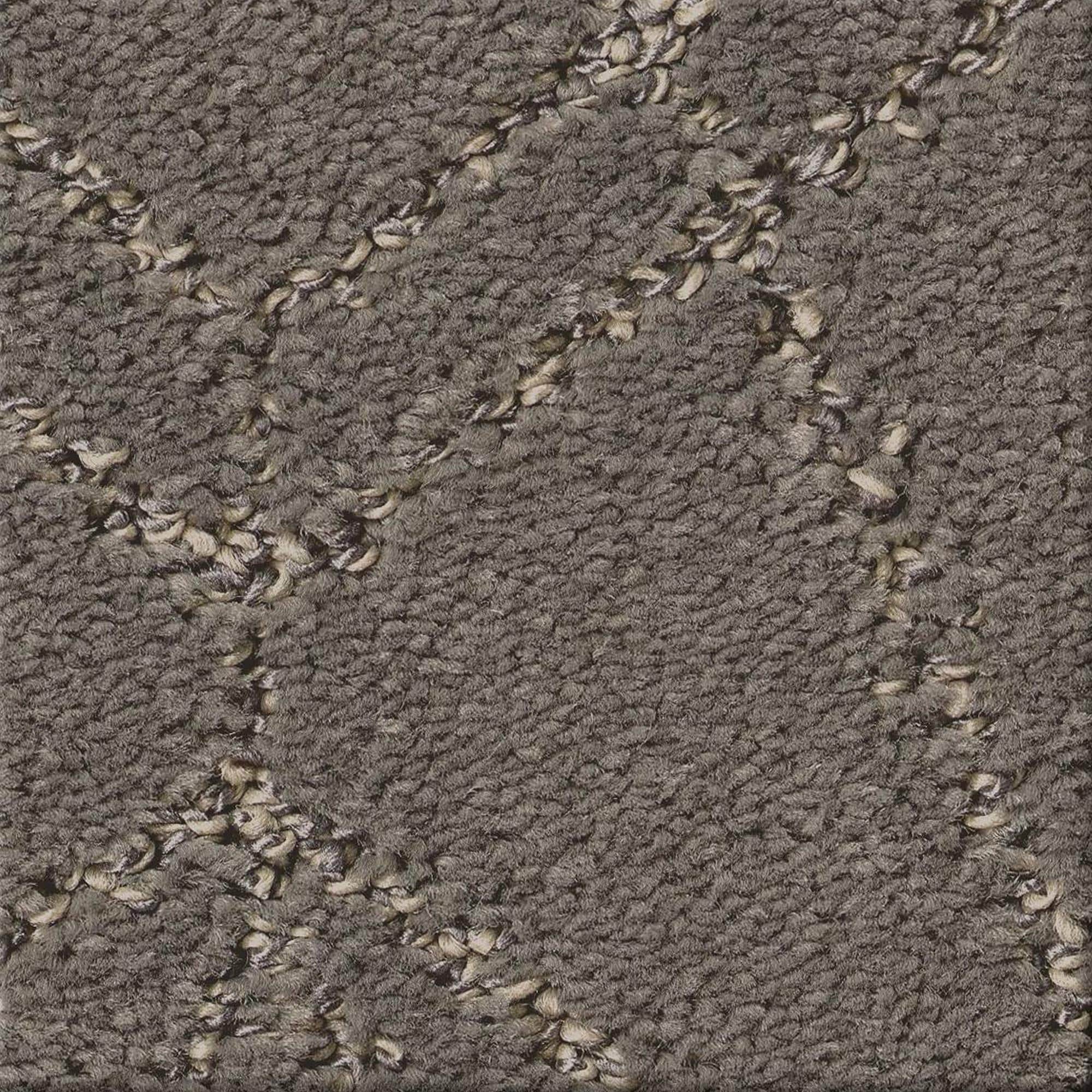 Shaw Point of View Carpet in Ashes