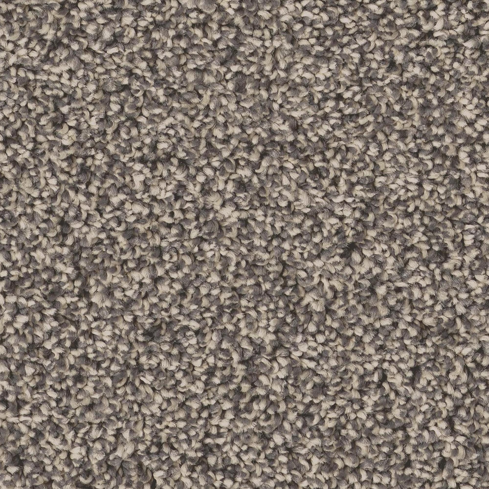 Shaw Pure Affection T Carpet in Shadows