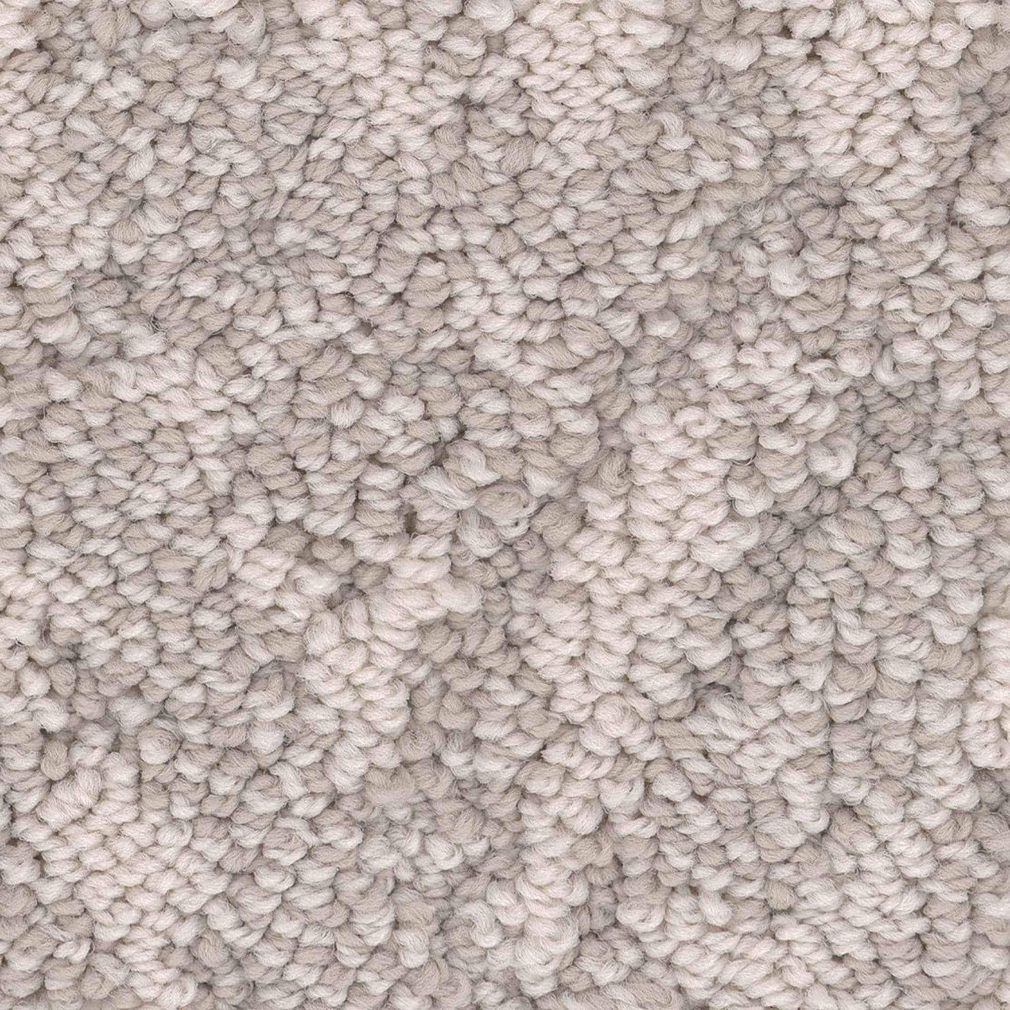 Anderson Tuftex Lavish Living Carpet in Sandstone