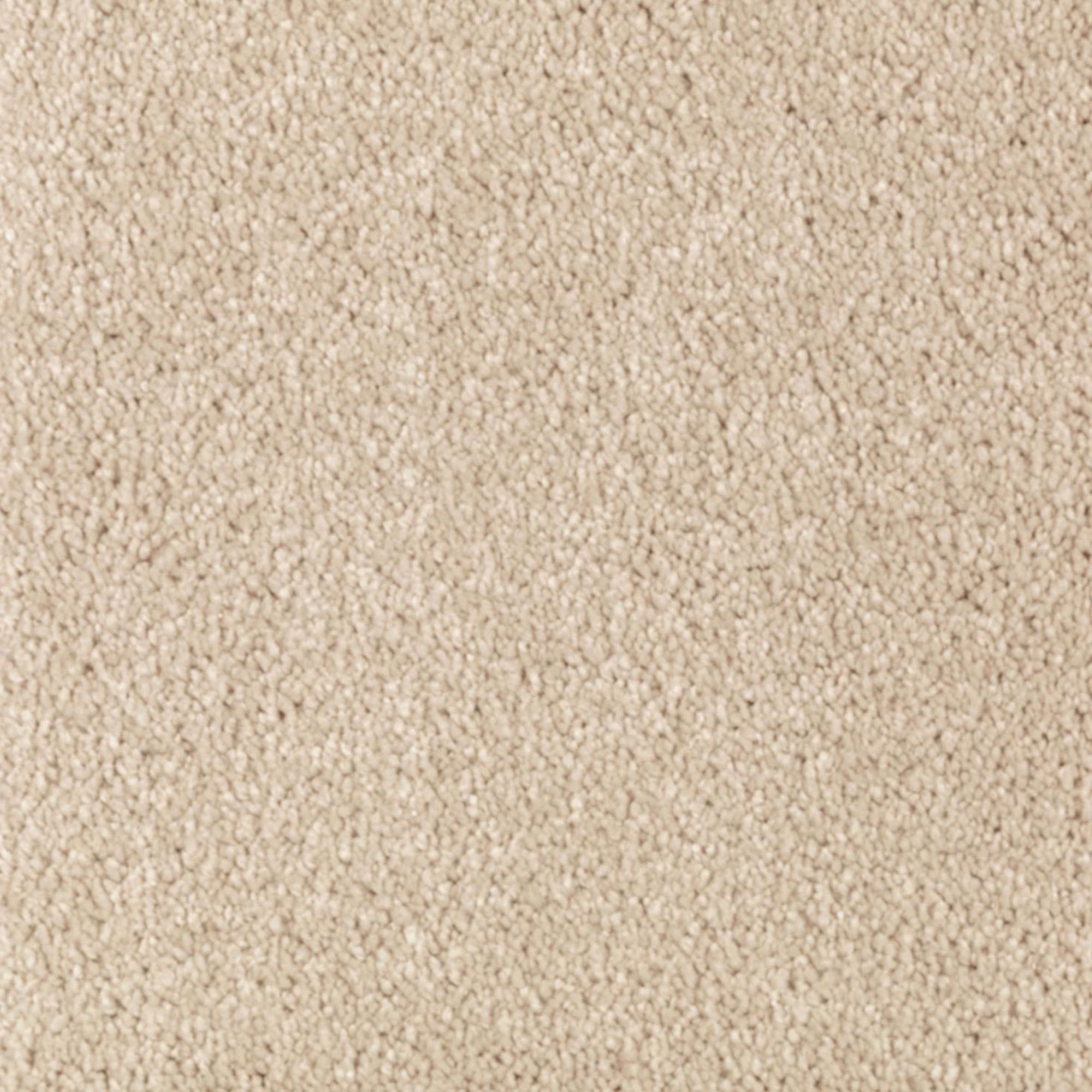 Mohawk Windsor Gardens II Carpet in Beach Pebble