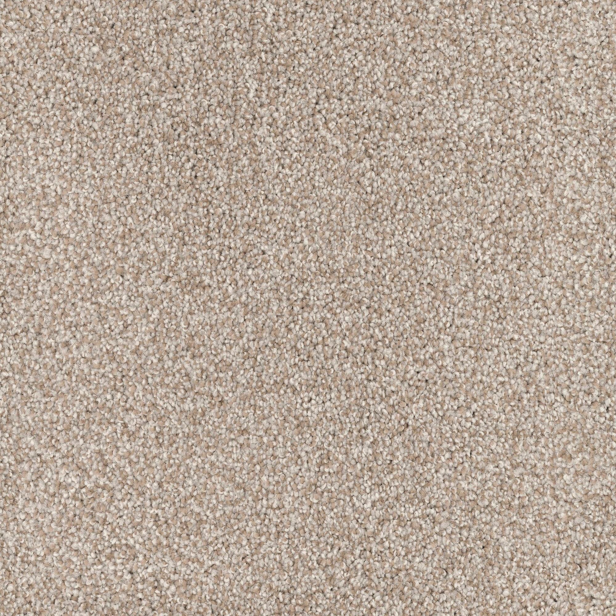 Dixie Home Bella Carpet in Shar-Pei