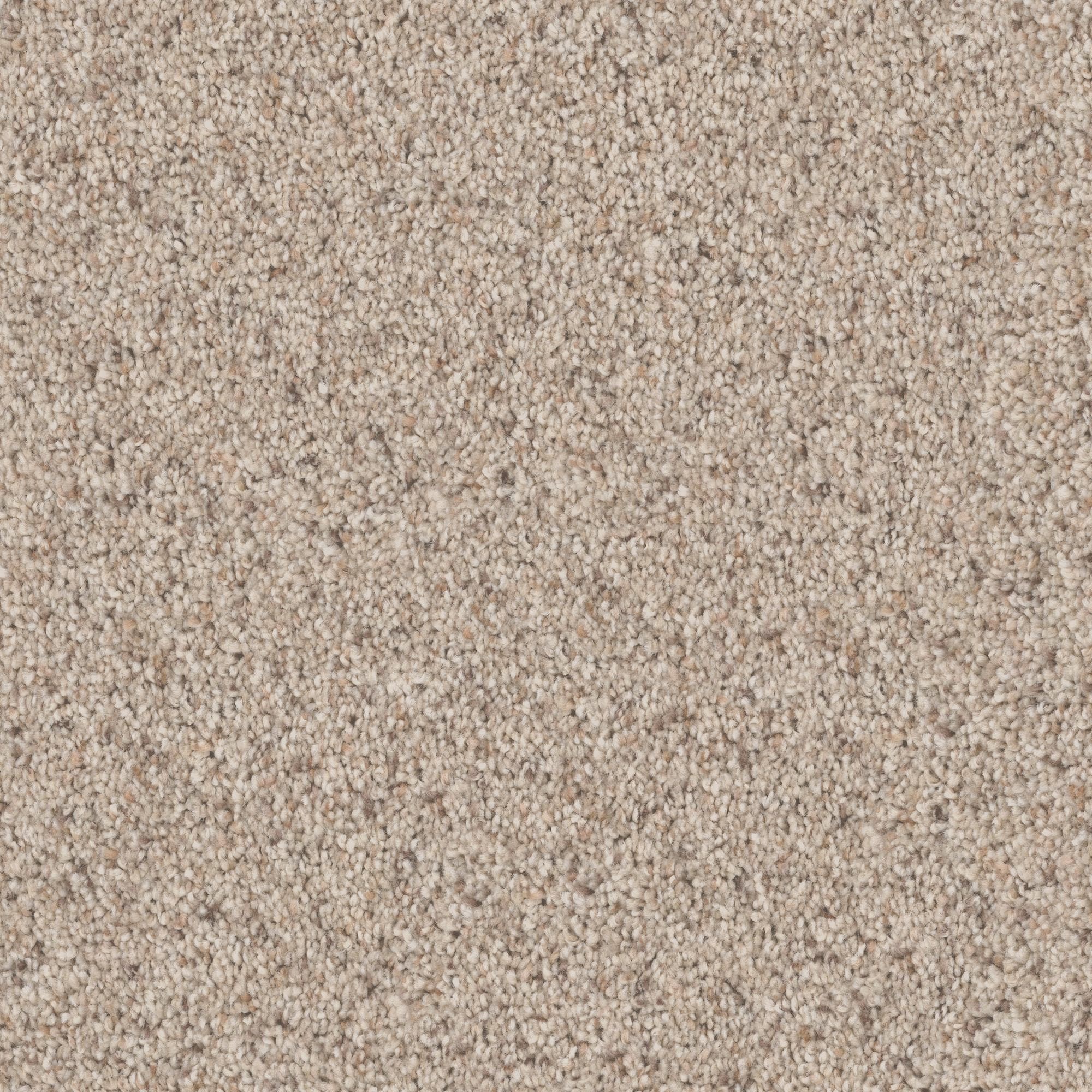 Dixie Home Devotion Carpet in Sandstorm
