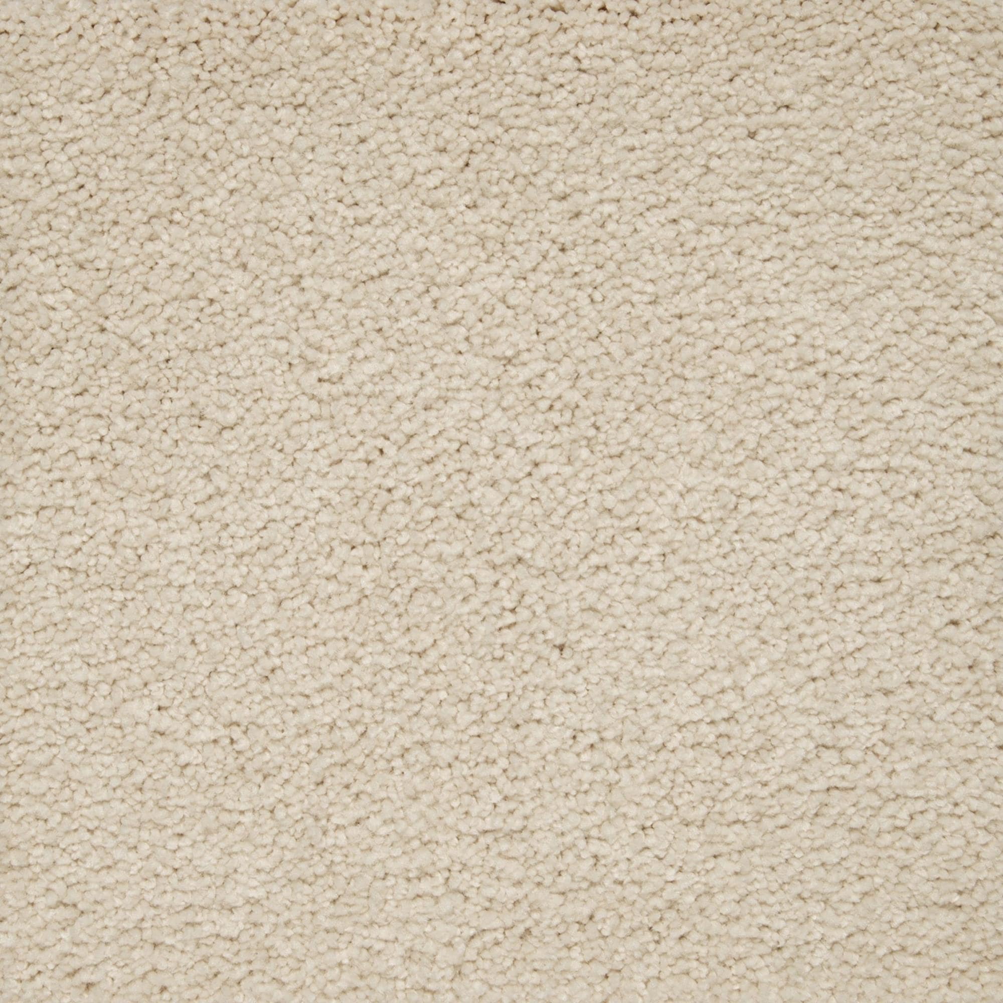 Mohawk Pleasant Touch Carpet in Romano