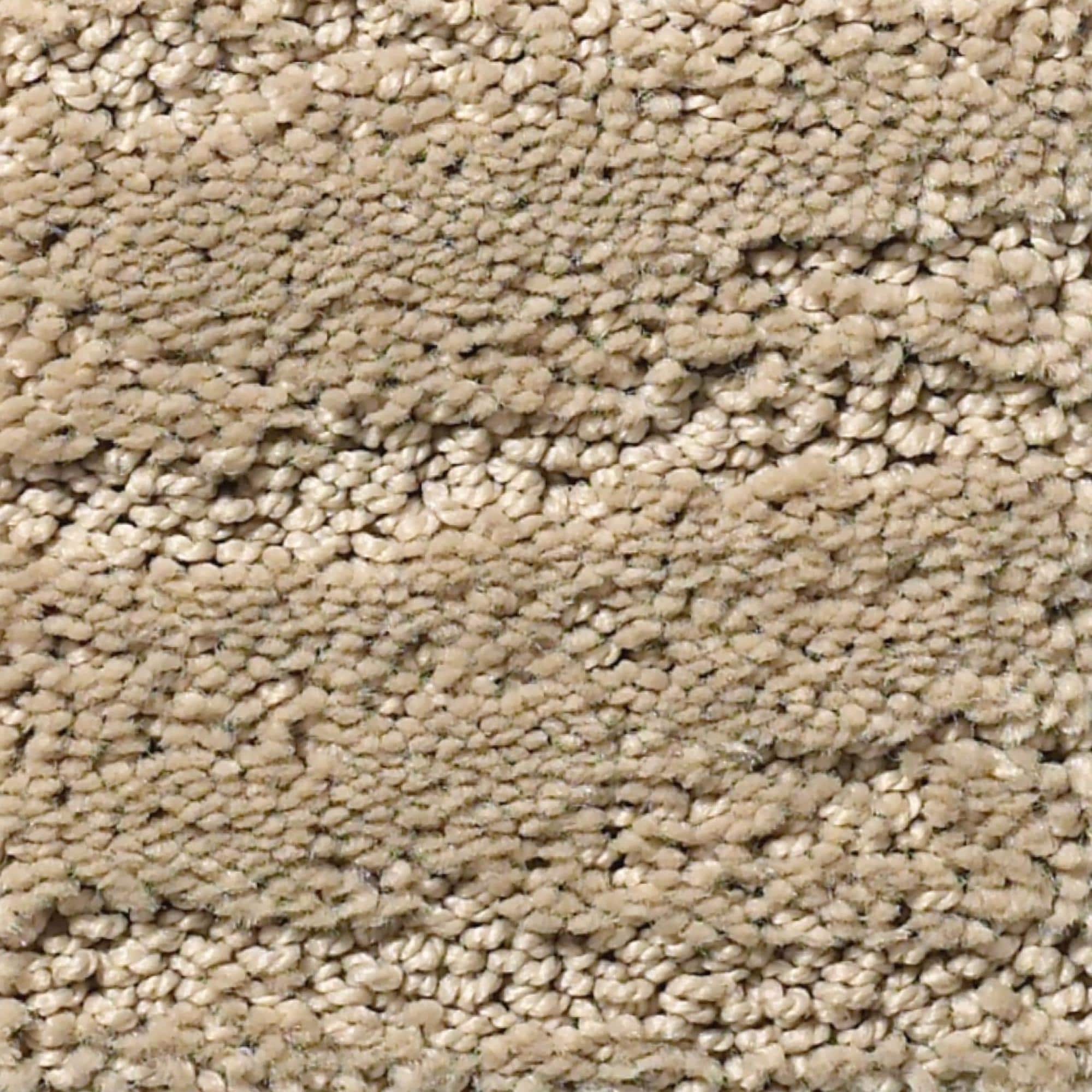 Anderson Tuftex Matisse Carpet in Coronado