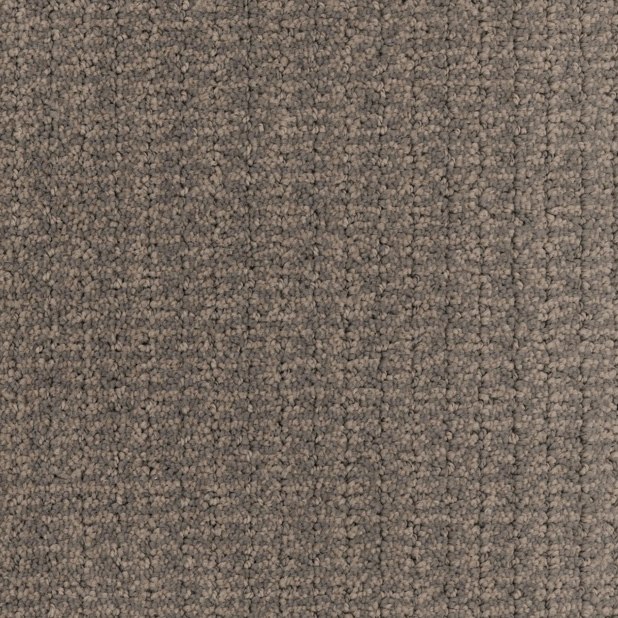 Dixie Home Sensible Carpet in Cobblestone