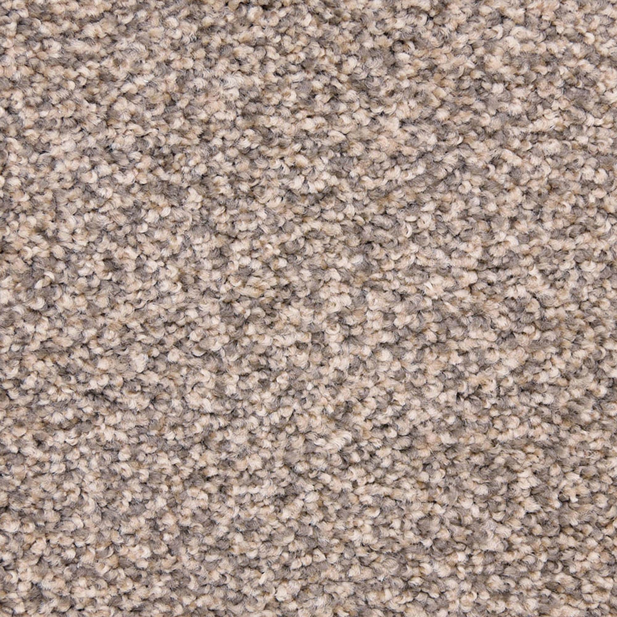 Dixie Home Simplicity Carpet in Statement