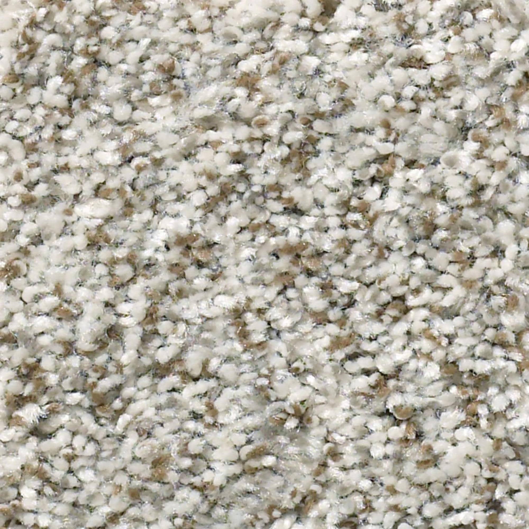 Shaw Cabana Bay (B) Carpet in Seashell