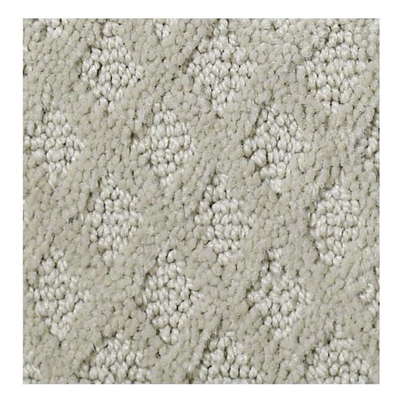 Shaw Nature's Own Carpet in Cold Water | NFM