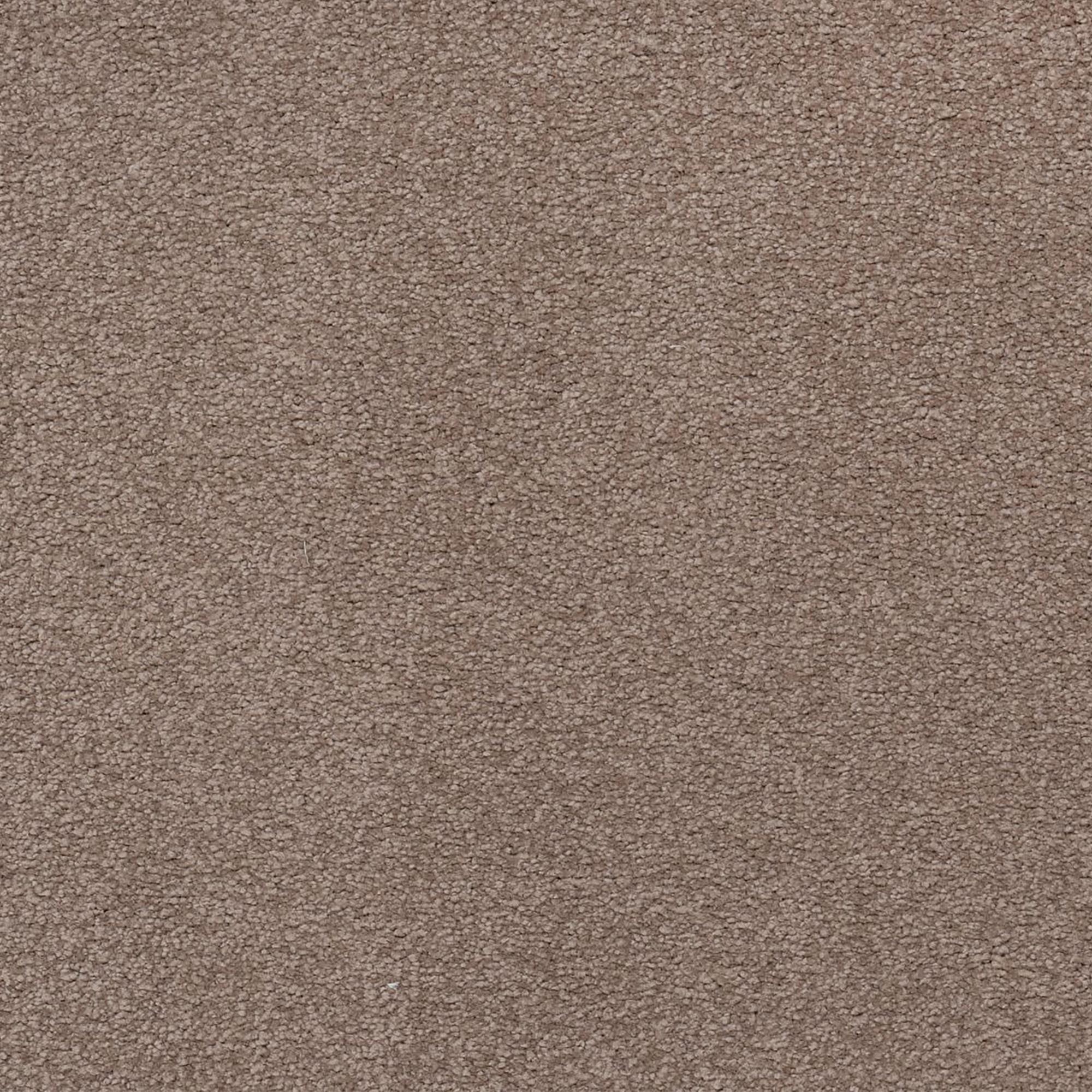 Other Tropical Vision Carpet in Fieldstone