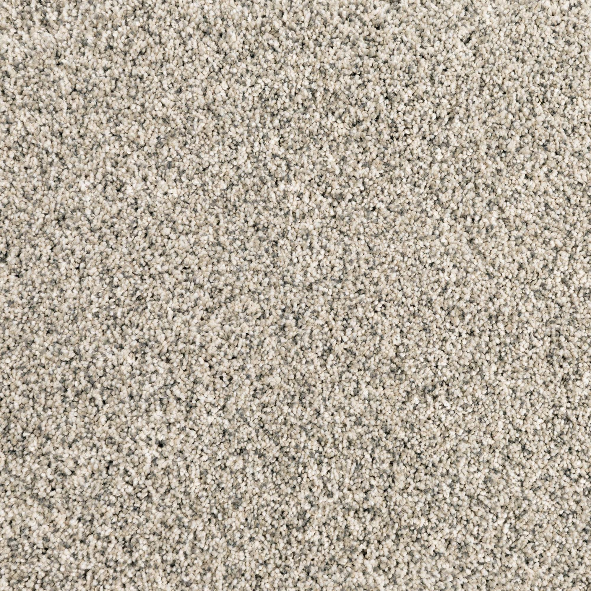Mohawk Assorted Elements I Carpet in Silver Dollar