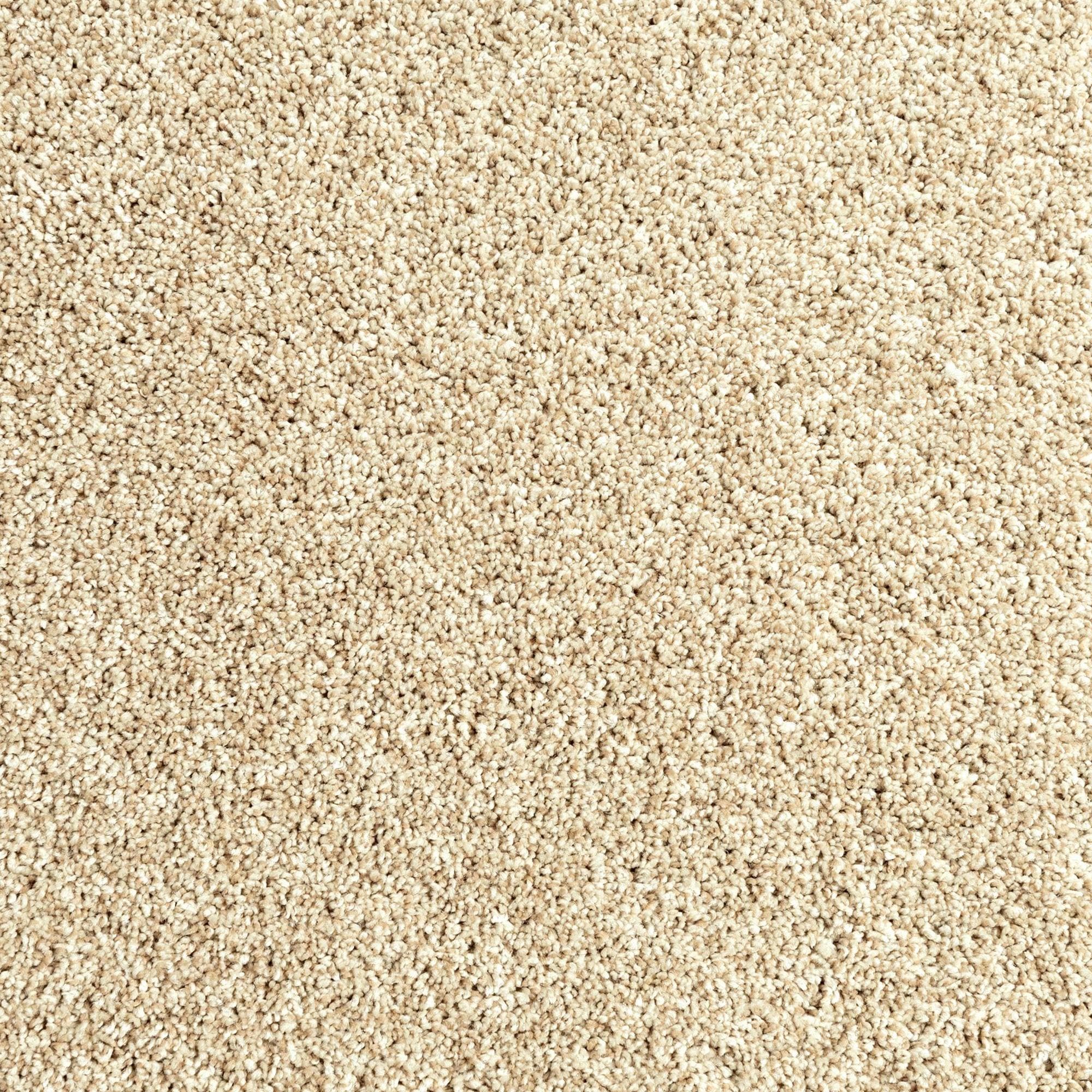 Mohawk Assorted Elements I Carpet in Coastal Sands