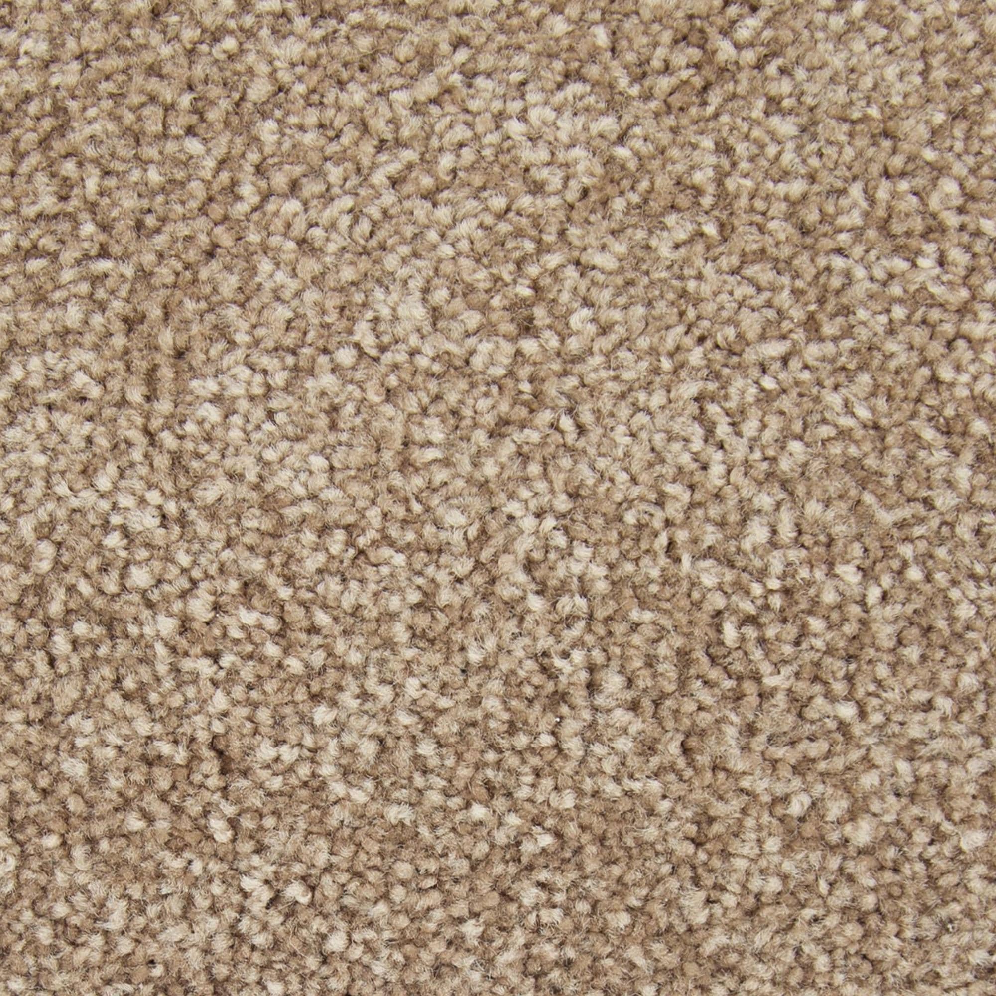 Mohawk Memorable View Carpet in Nouveau