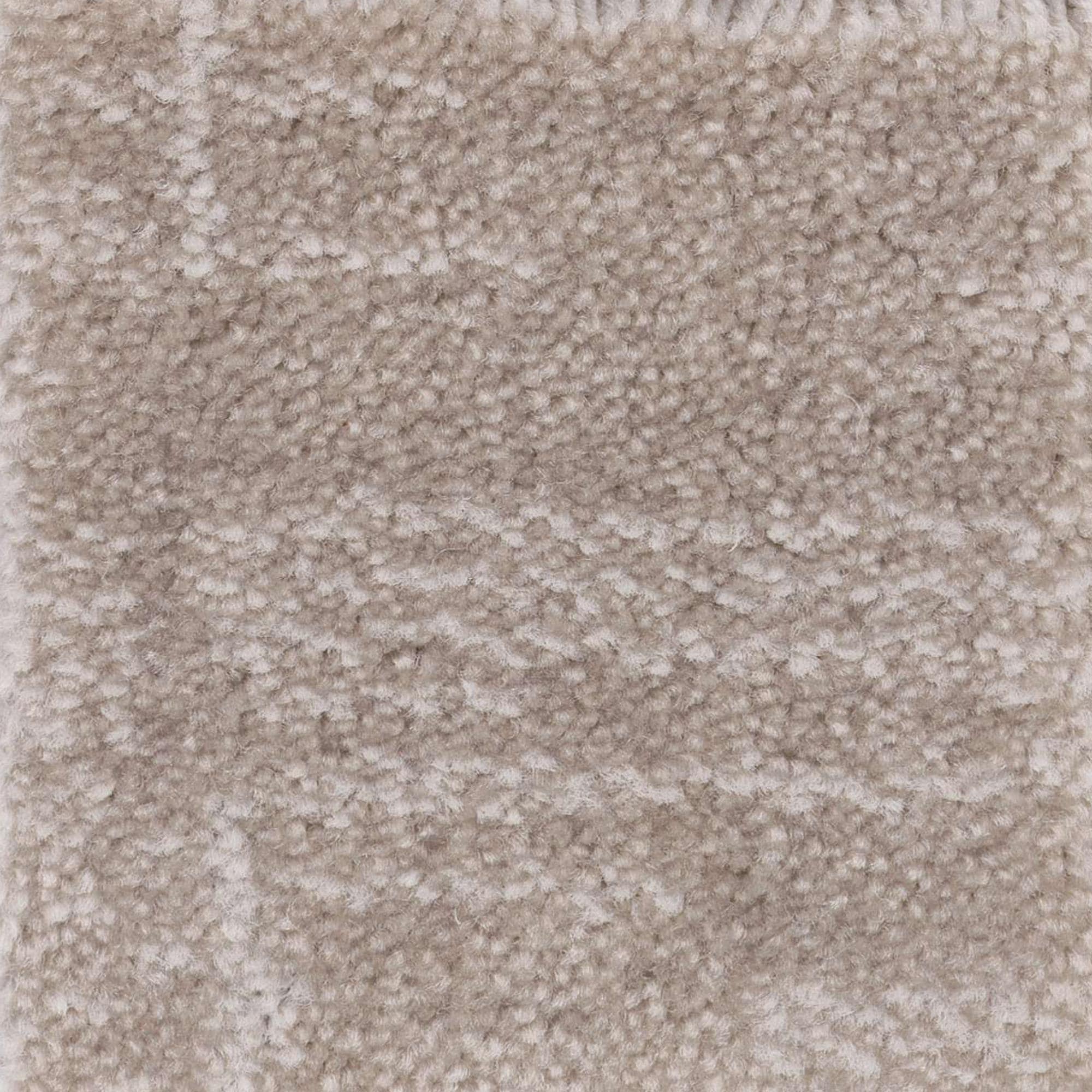 Anderson Tuftex Insightful Journey Carpet in Sandstone