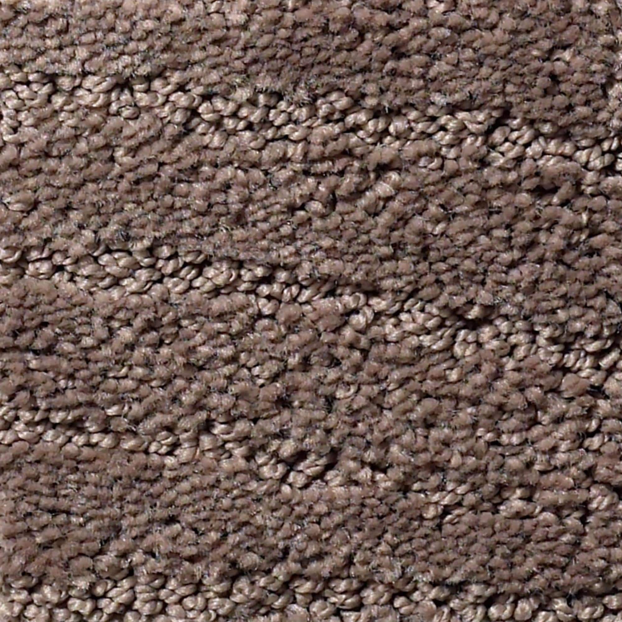 Anderson Tuftex Matisse Carpet in Chantrelle | Shop NFM