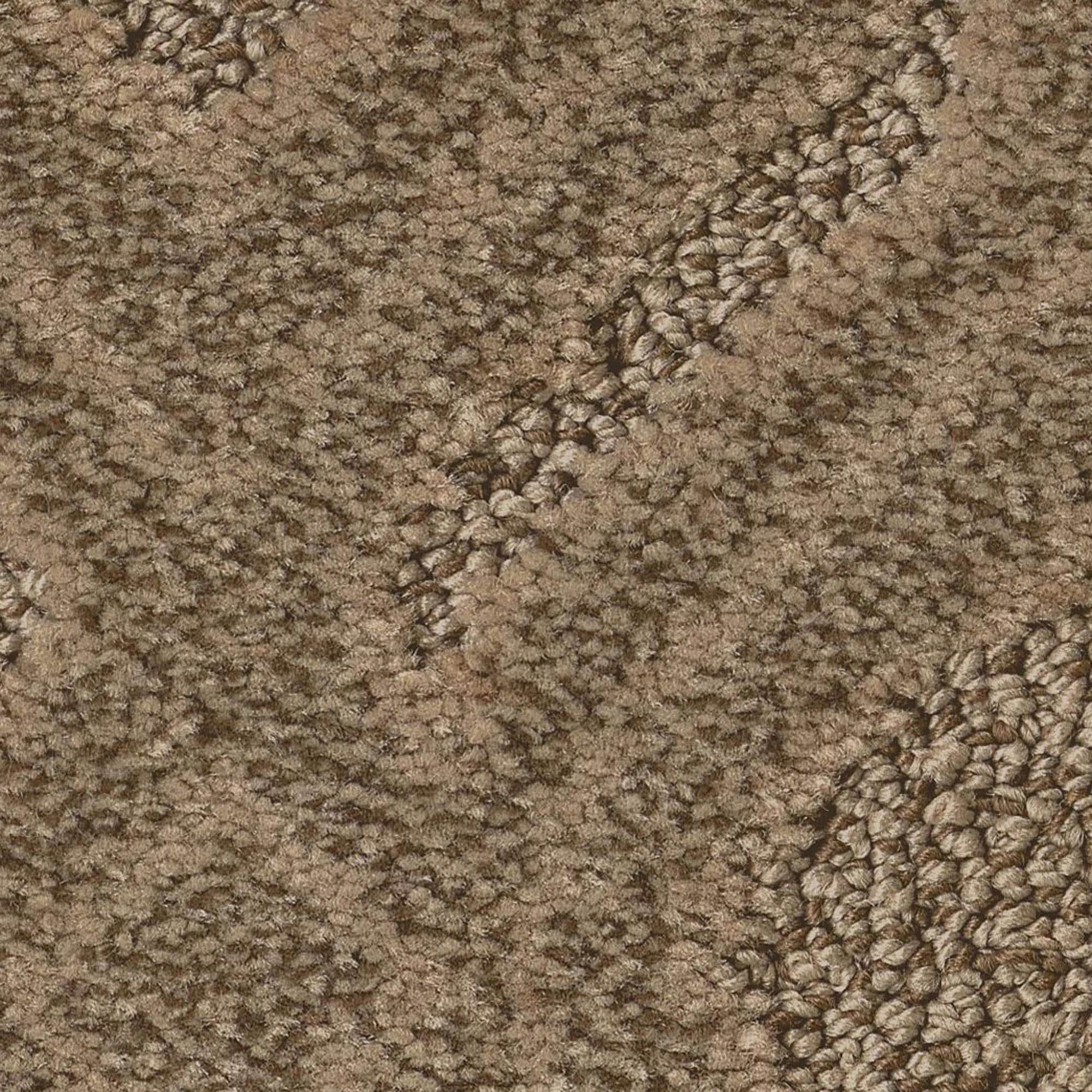 Anderson Tuftex Expressive Carpet in Open Canyon